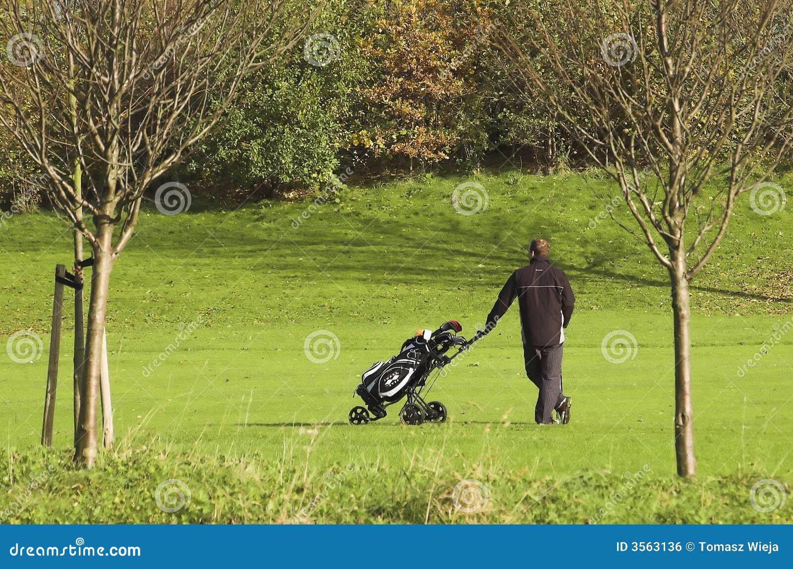 Golf course with a player stock photo. Image of surroundings - 3563136
