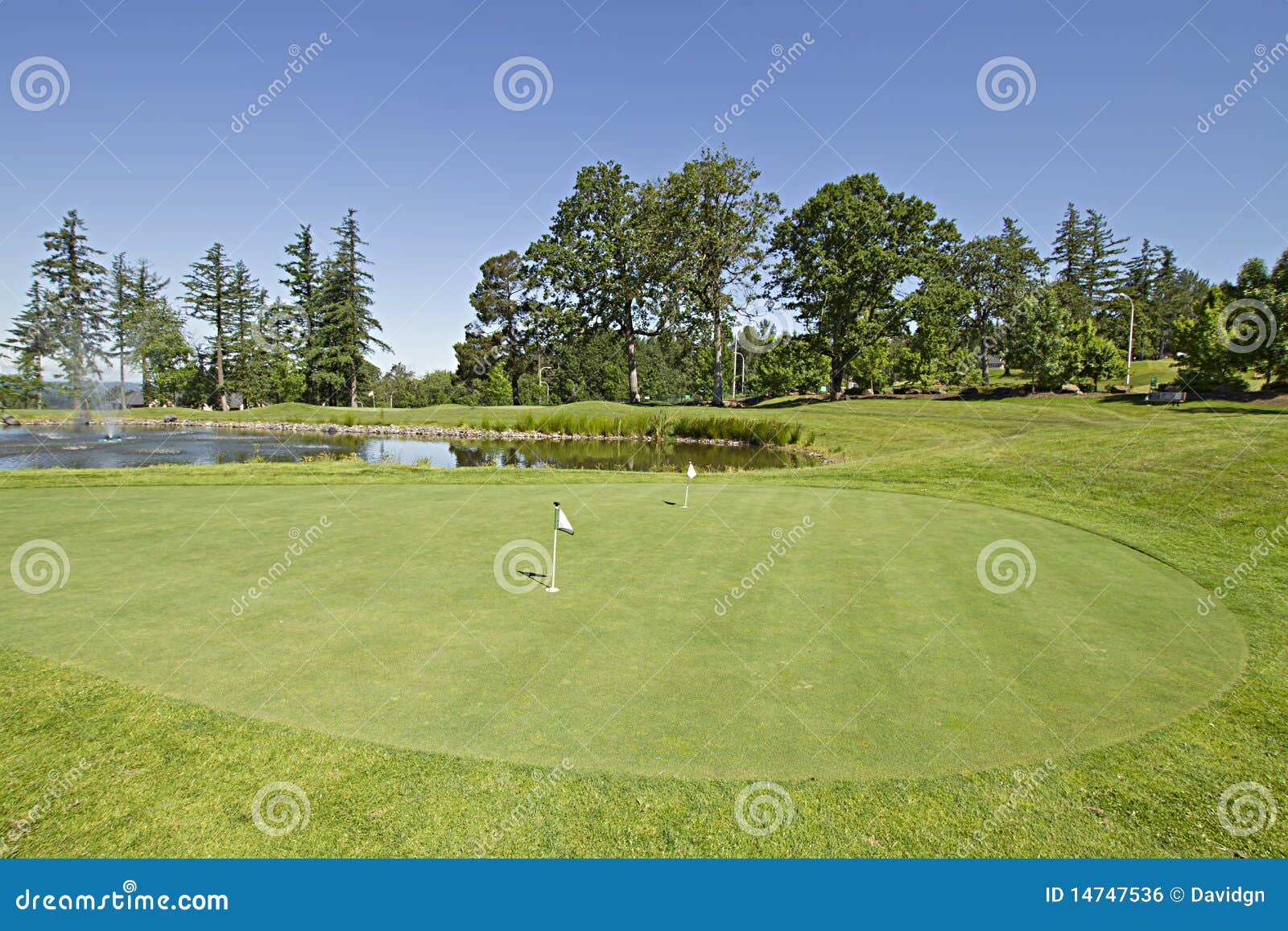 Golf Course Putting Green stock photo. Image of flags - 14747536