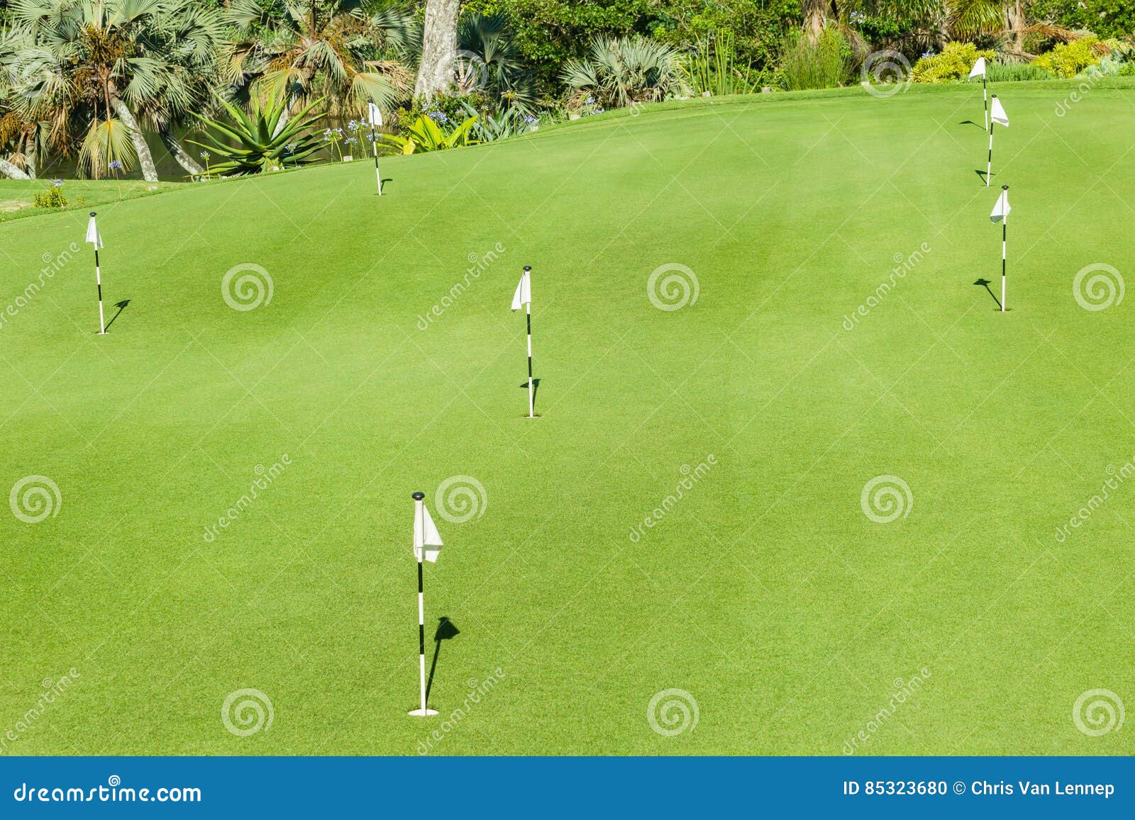Golf Course Putting Green stock photo. Image of hibiscus - 85323680