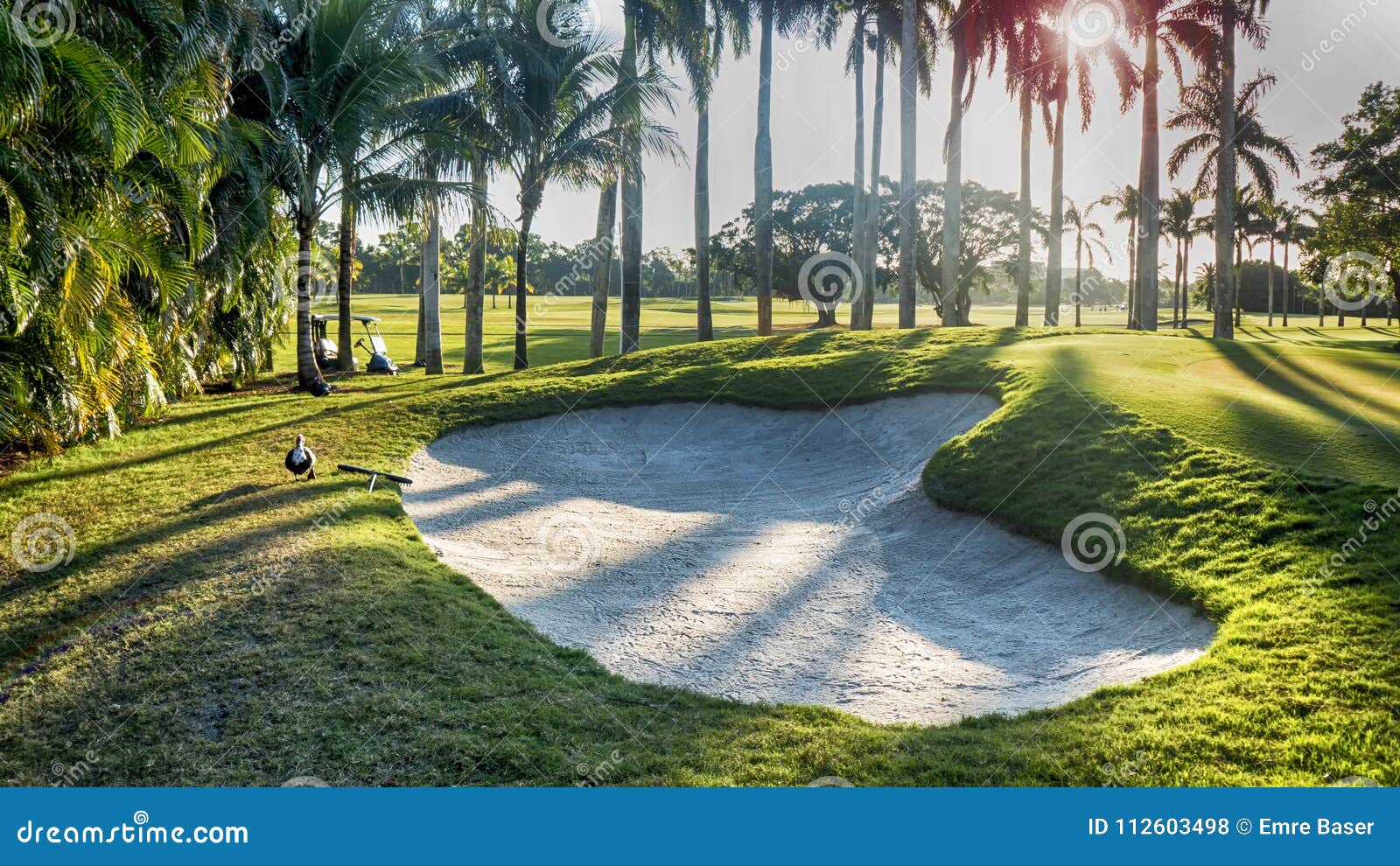 Golf course sand bunker stock photo. Image of landscape - 112603498