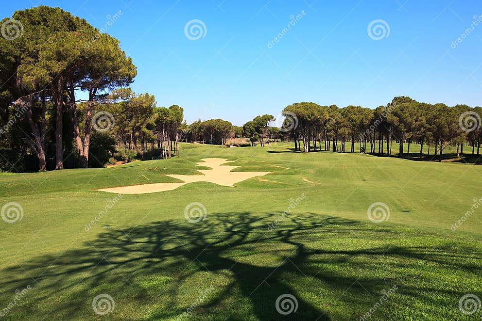 Golf Course with Sand Trap. Stock Photo - Image of nature, trap: 21003666