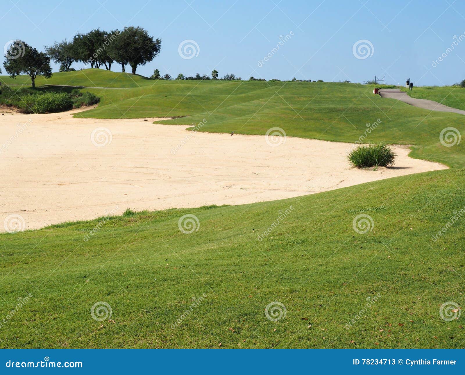 Golf course sand trap stock image. Image of trap, green - 78234713