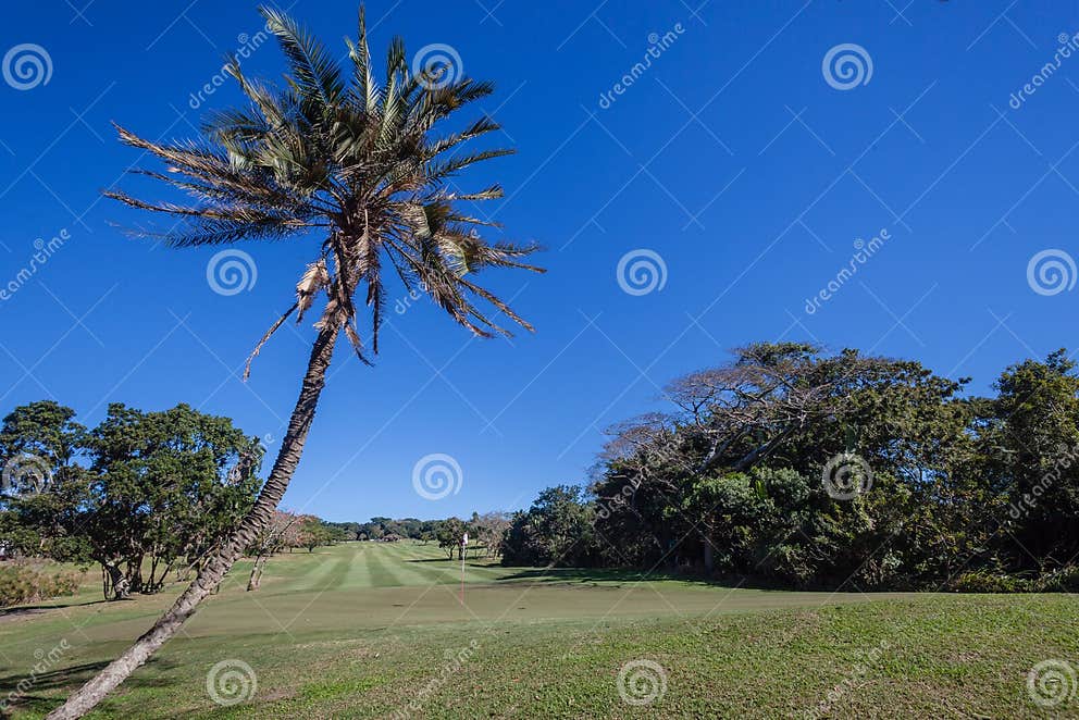 Golf Course Selborne editorial photo. Image of southafrica - 29676836
