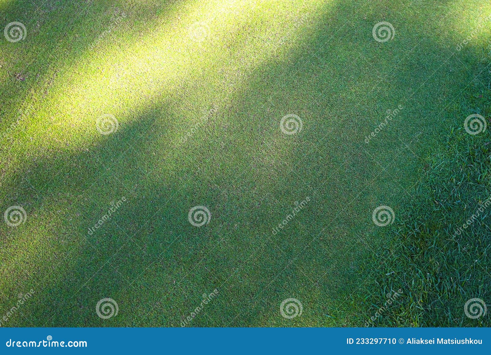 Golf Course, Shadows from Trees on the Grass. Green Grass. Background ...