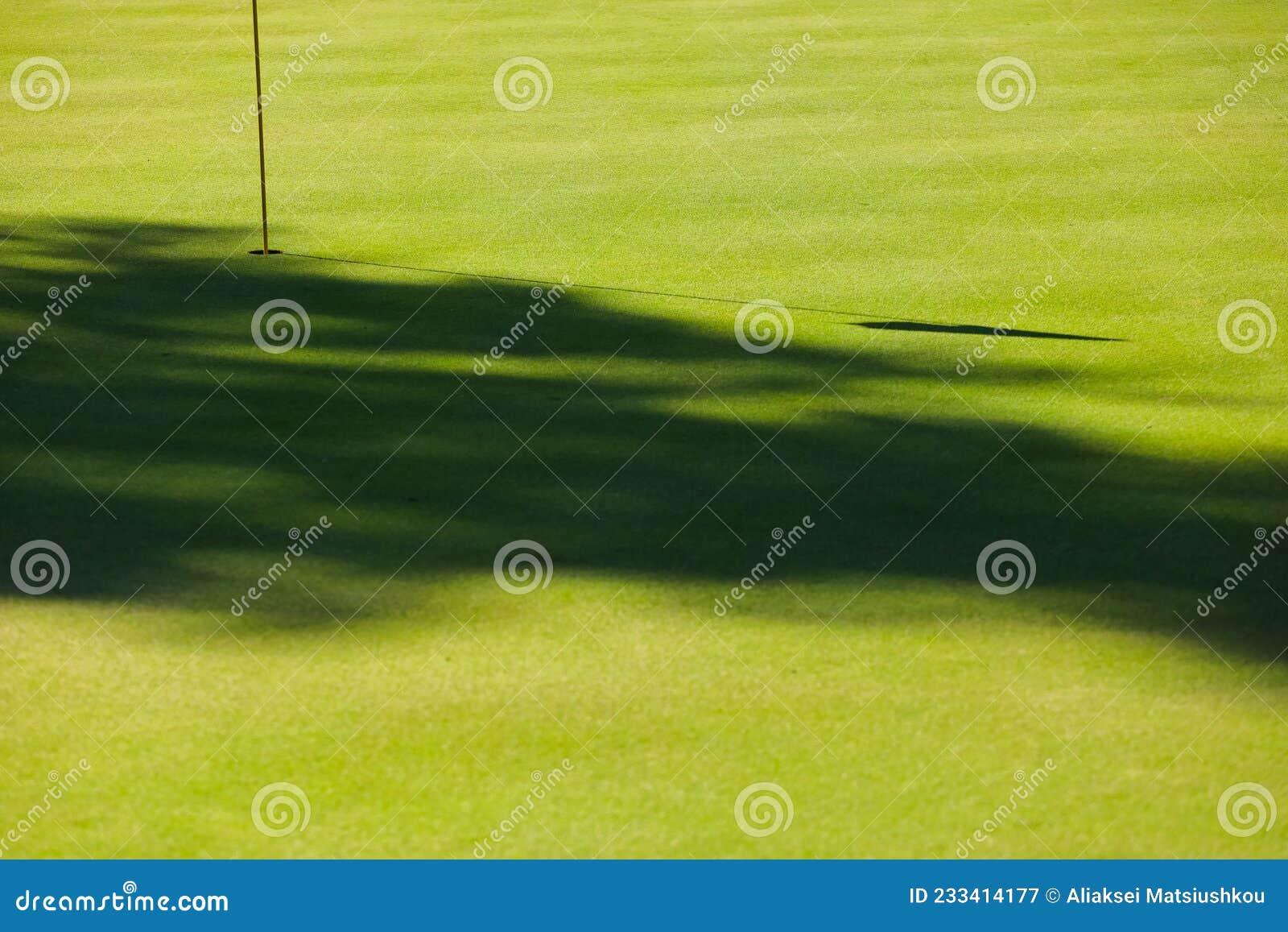 Golf Course, Shadows from Trees on the Grass. Green Grass. Background ...