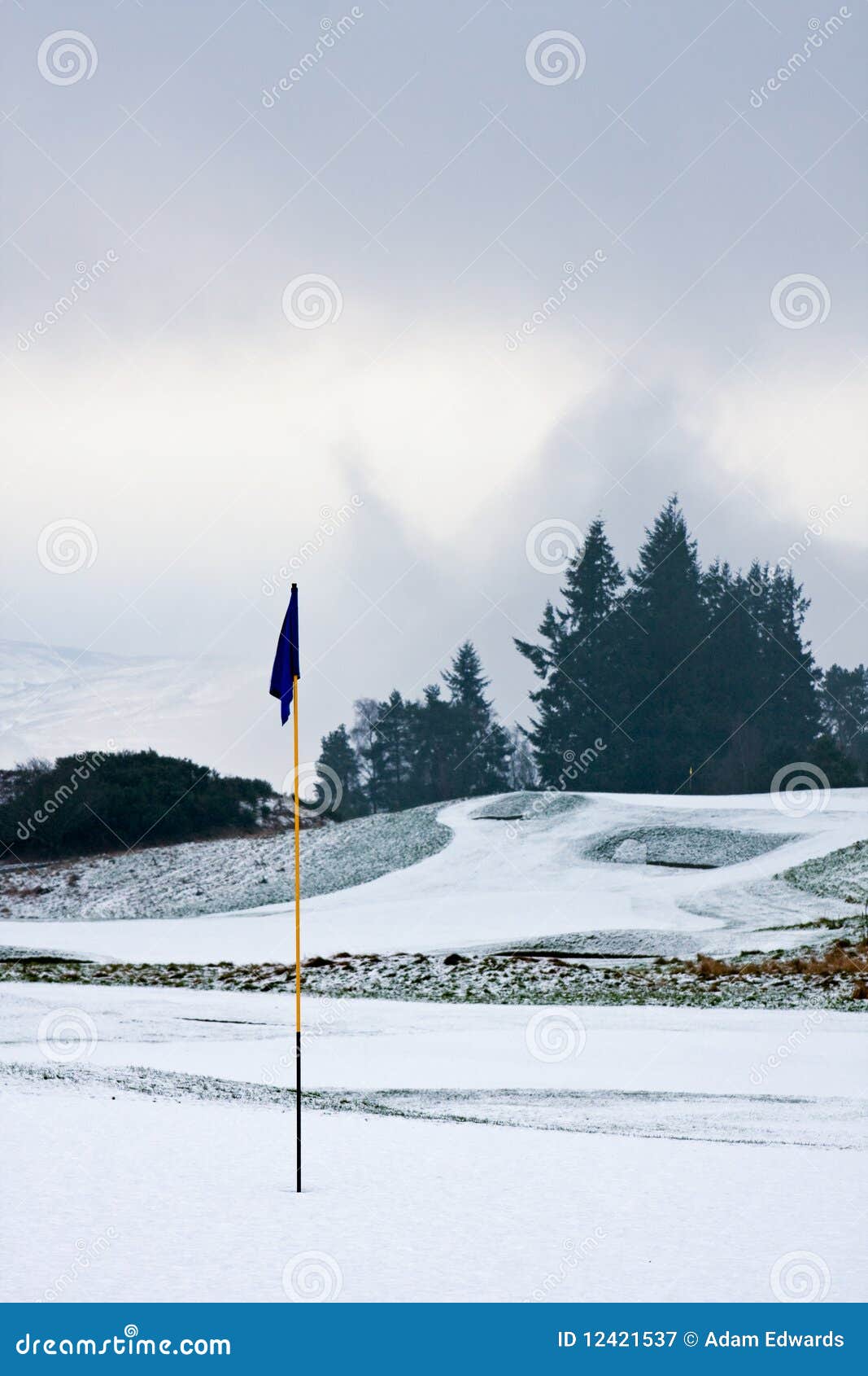 Golf Course on a Snowy Winter Morning Stock Image - Image of frosty ...