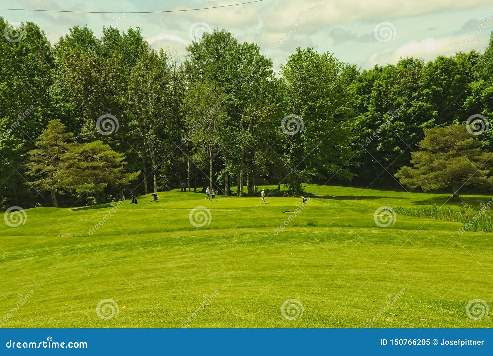 A Golf Course on a Sunny Day Stock Image - Image of outdoors, club ...
