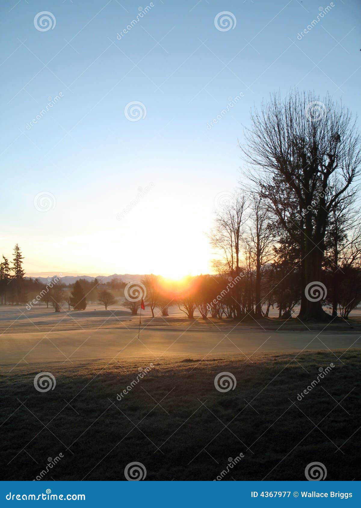 Golf course sunrise stock image. Image of tree, light - 4367977