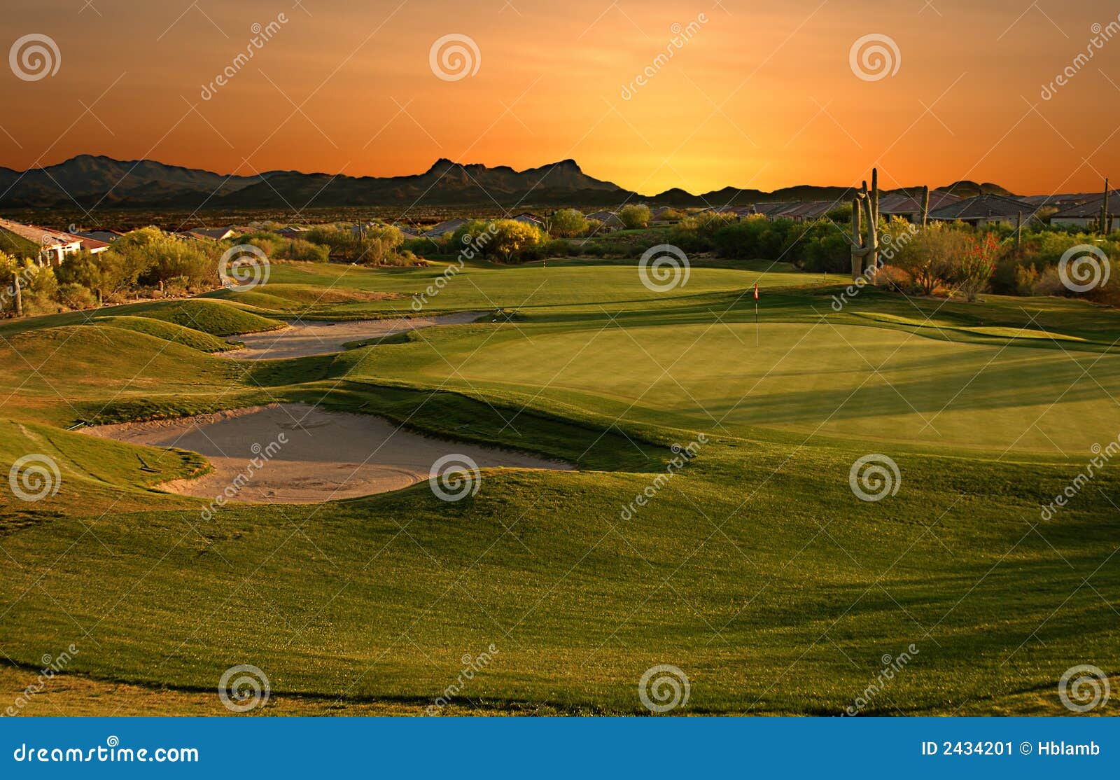 Golf course at sunset stock image. Image of golf, golden - 2434201