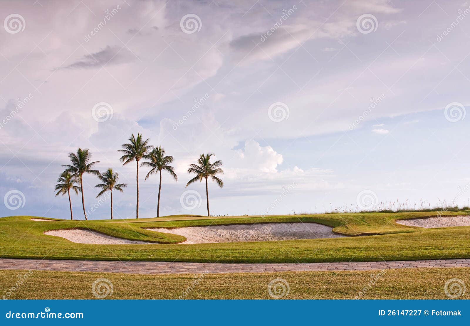 Golf Course Sunset with Tropical Palm Trees Stock Image - Image of ...