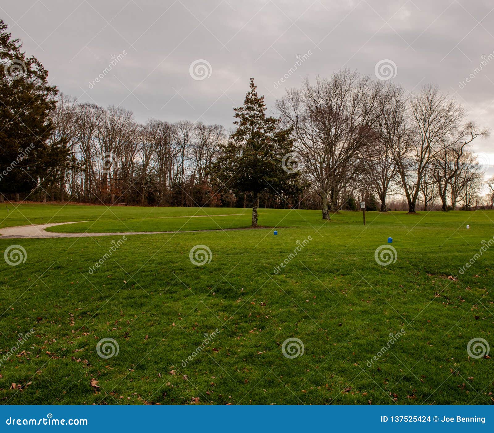 A Golf Course Tee Box stock photo. Image of club, landscape - 137525424