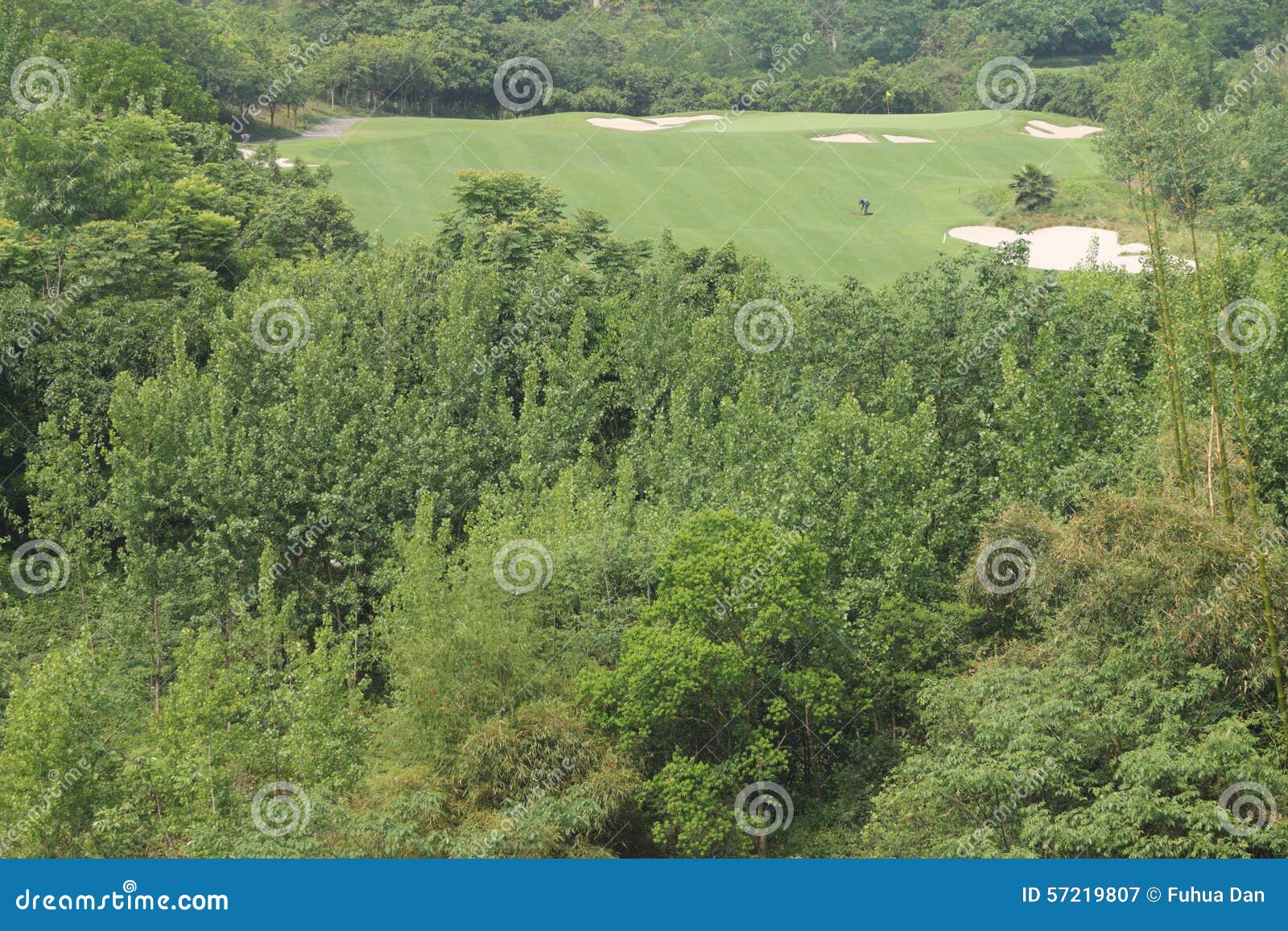 Golf course stock image. Image of vegetation, green, lawn - 57219807