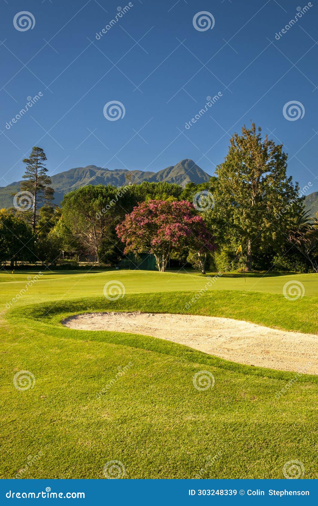 Golf Course with Treelined Fairways and Mountain Views Stock Image ...
