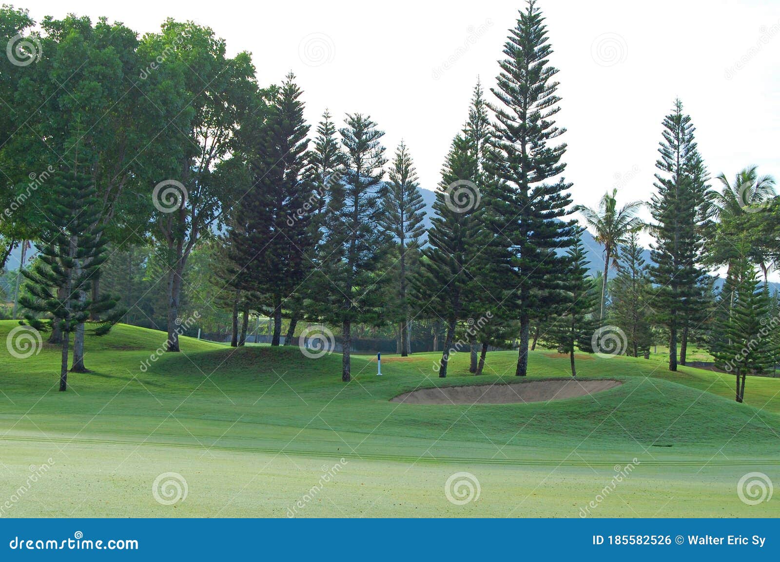 Golf Course and Trees at Mount Malarayat in Lipa, Batangas, Philippines ...