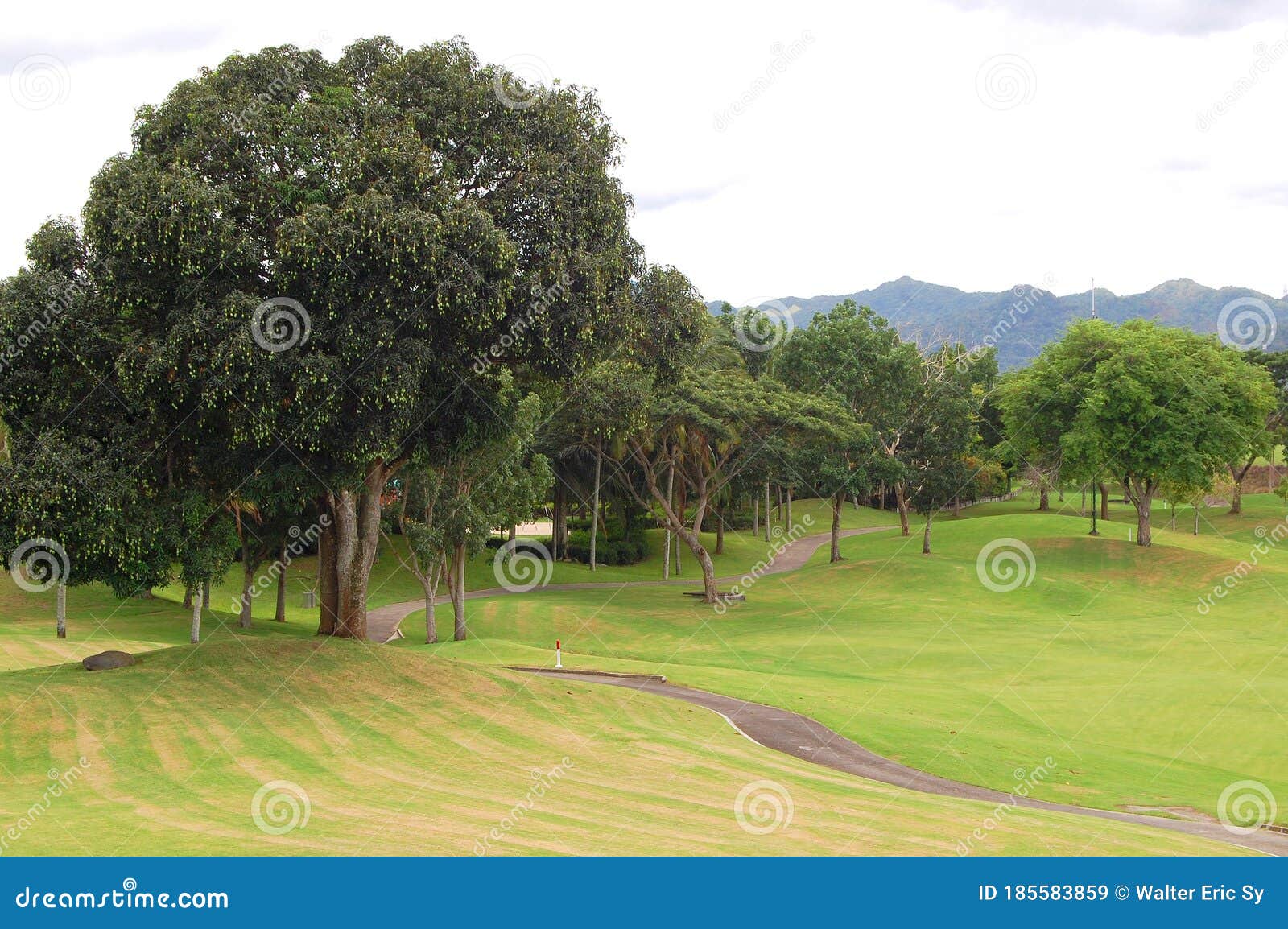 Golf Course with Trees and Mountain at Mount Malarayat in Lipa ...
