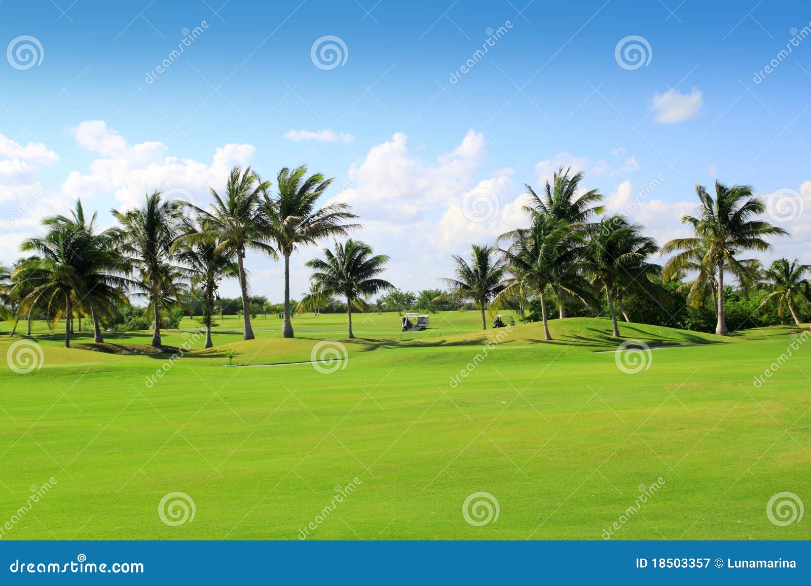 Golf Course Tropical Palm Trees Mexico Stock Image - Image of meadow ...
