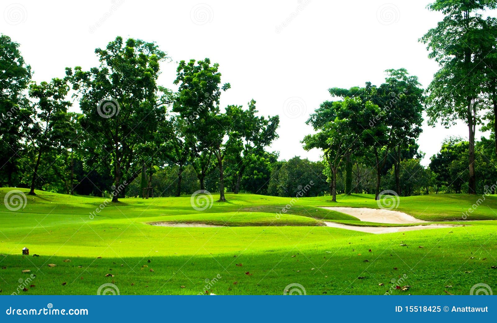 Golf course view stock image. Image of lawn, fluffy, horizon - 15518425