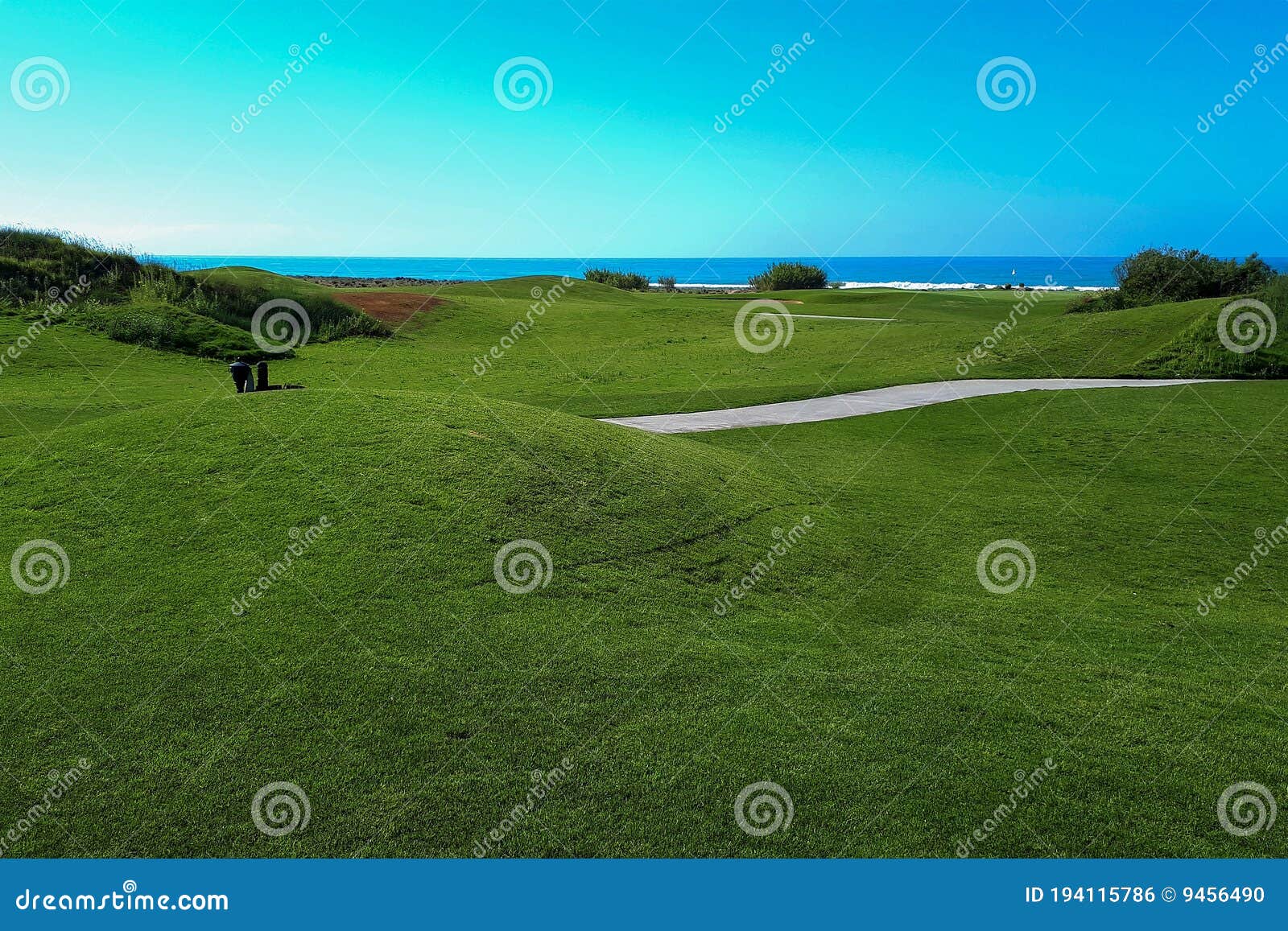 Golf Course. View of the Green Lawn. Stock Photo - Image of irrigation ...
