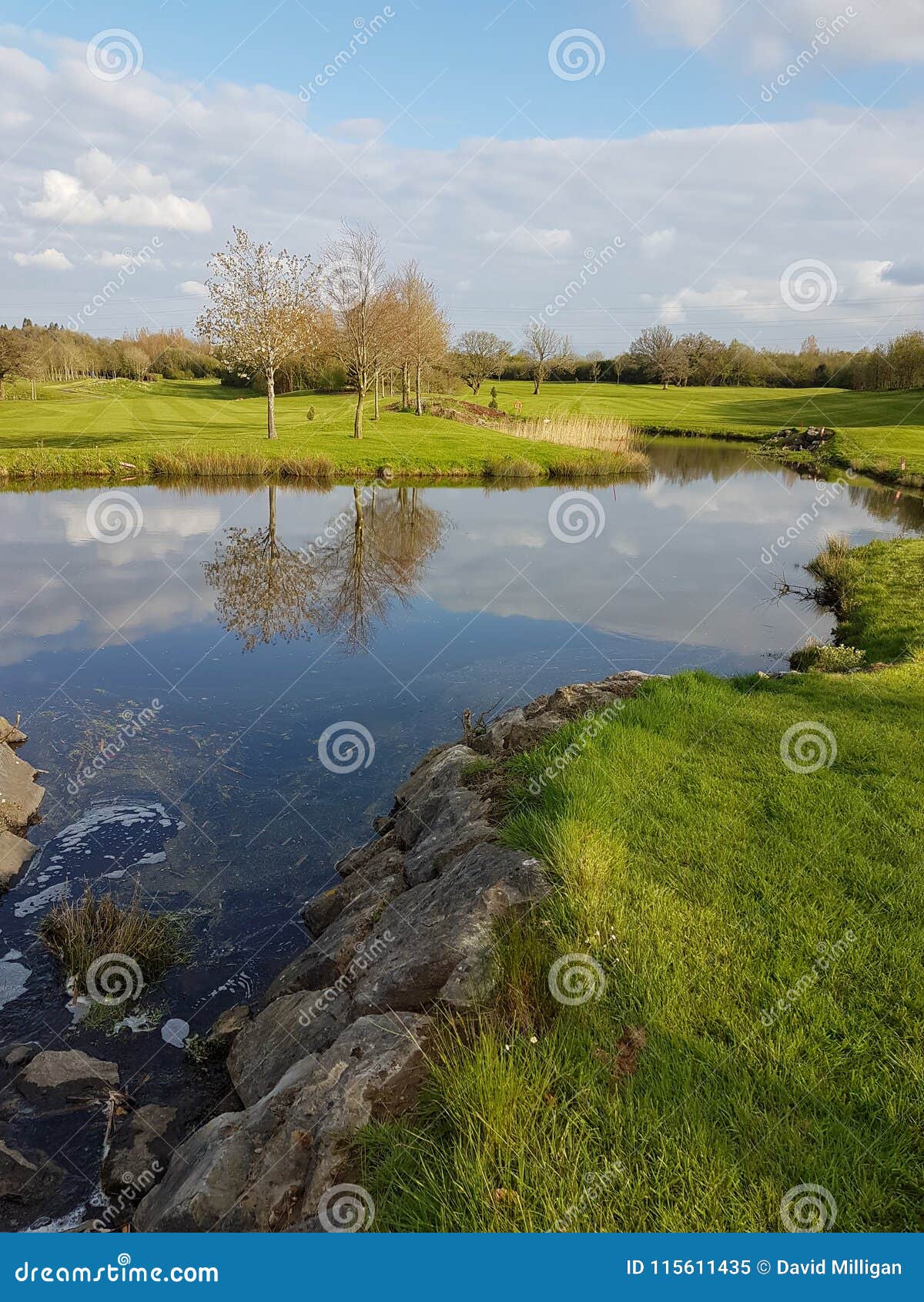 Golf course stock image. Image of sports, water, feature - 115611435