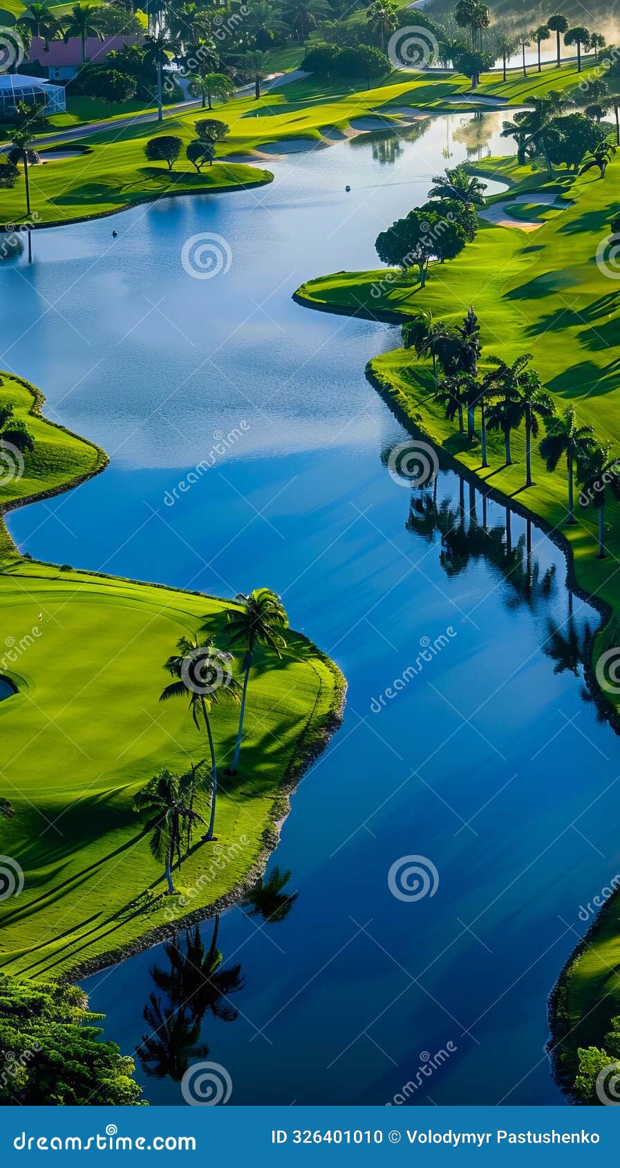 A Golf Course with Water and Palm Trees Stock Photo - Image of green ...