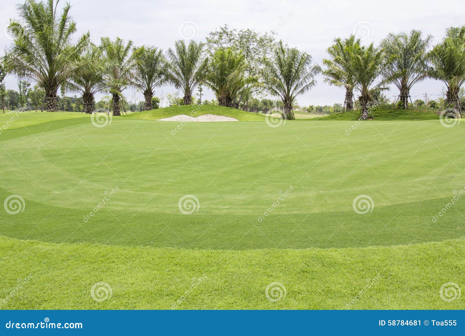 Golf courses , green grass stock image. Image of season - 58784681
