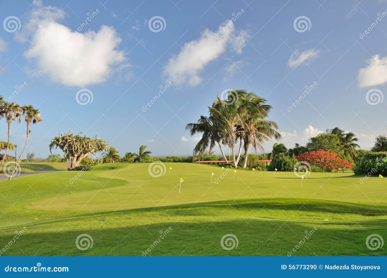 Golf court stock photo. Image of landscape, cuba, hill - 56773290