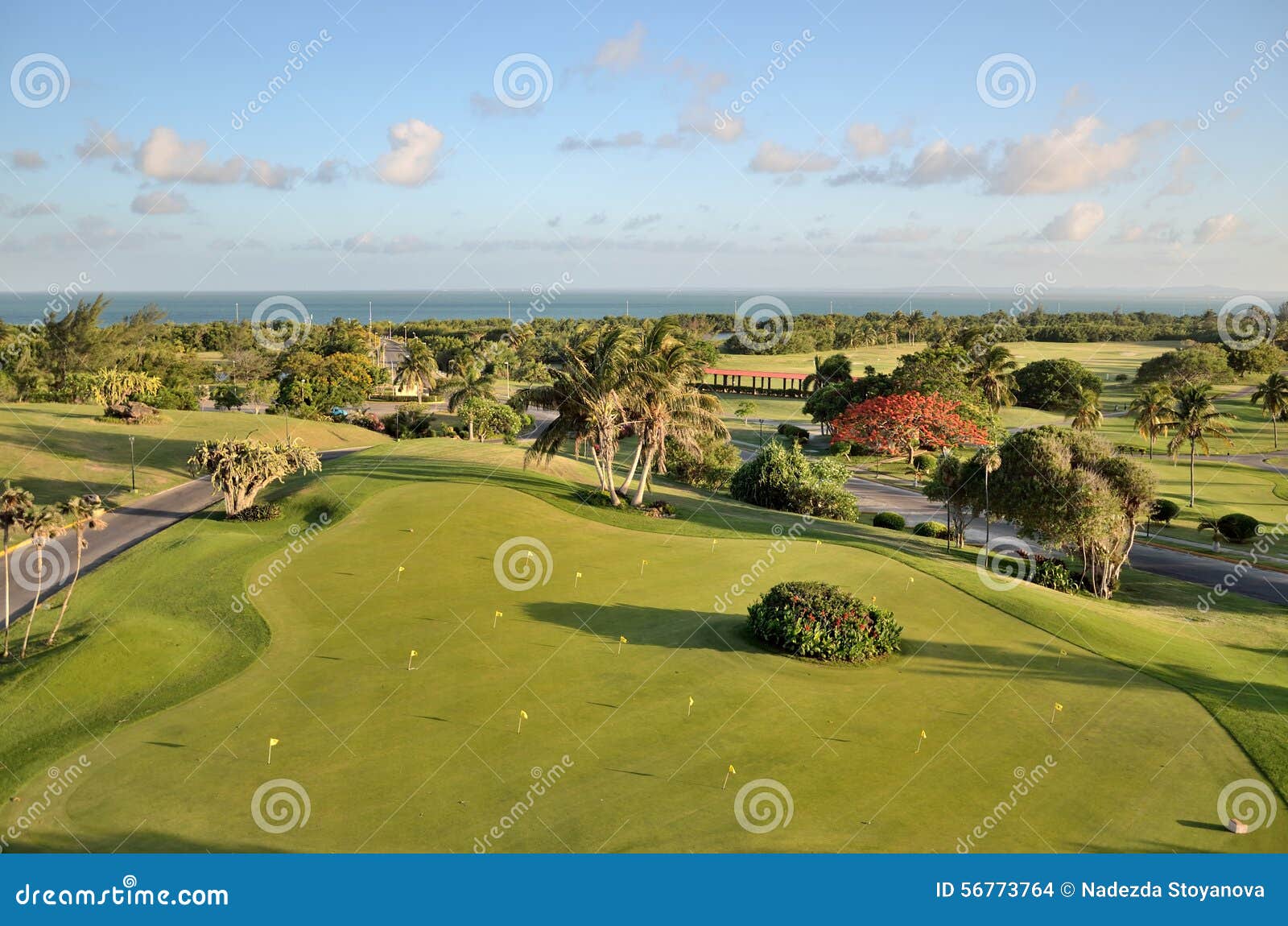 Golf court editorial stock image. Image of hill, field - 56773764