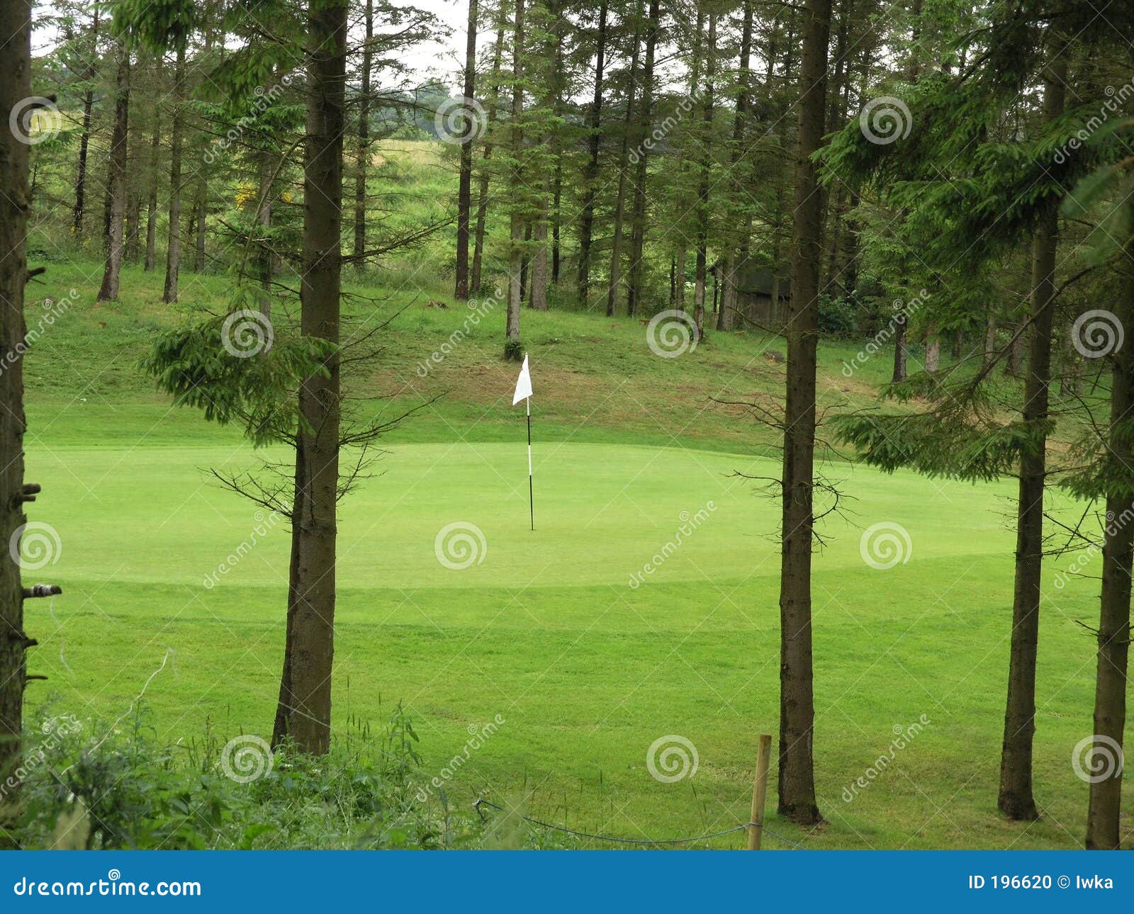 Golf Fairway stock photo. Image of recreation, activity - 196620
