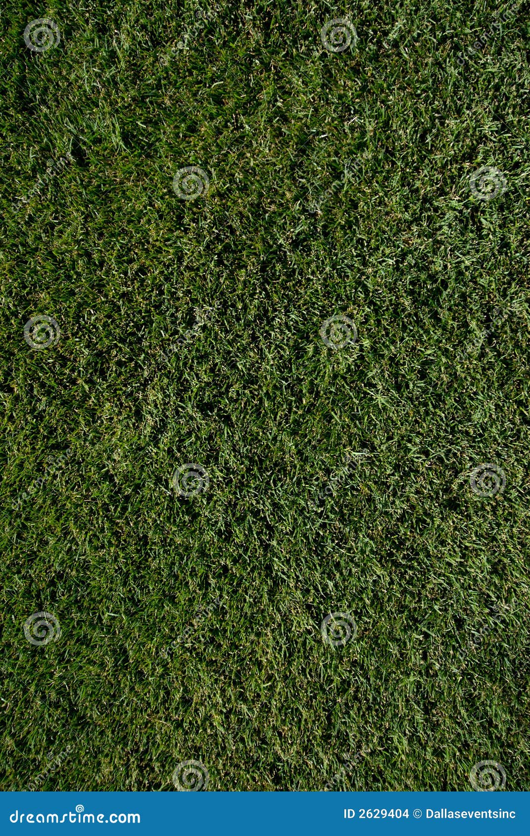 Golf fairway stock photo. Image of front, knoll, field - 2629404