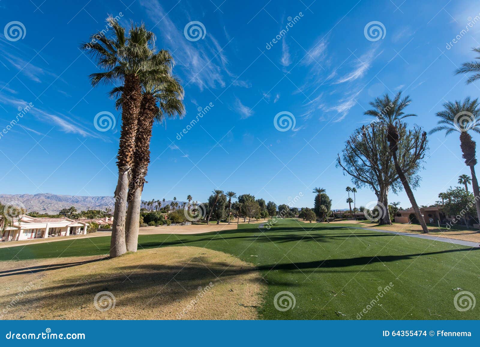 Golf Fairway is Green Surrounded by Brown Rough Stock Photo - Image of ...