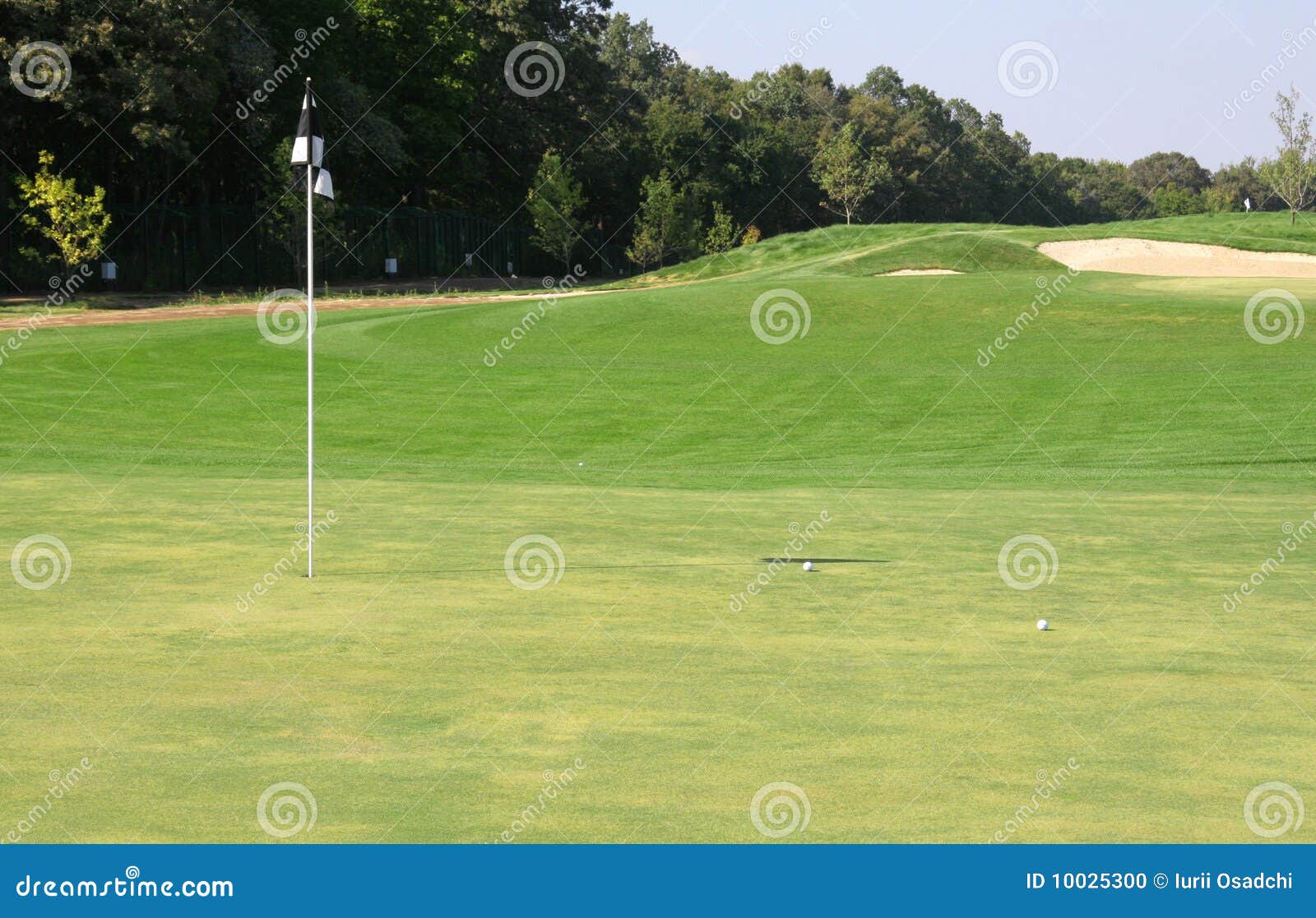 Golf field stock photo. Image of country, putt, golf - 10025300