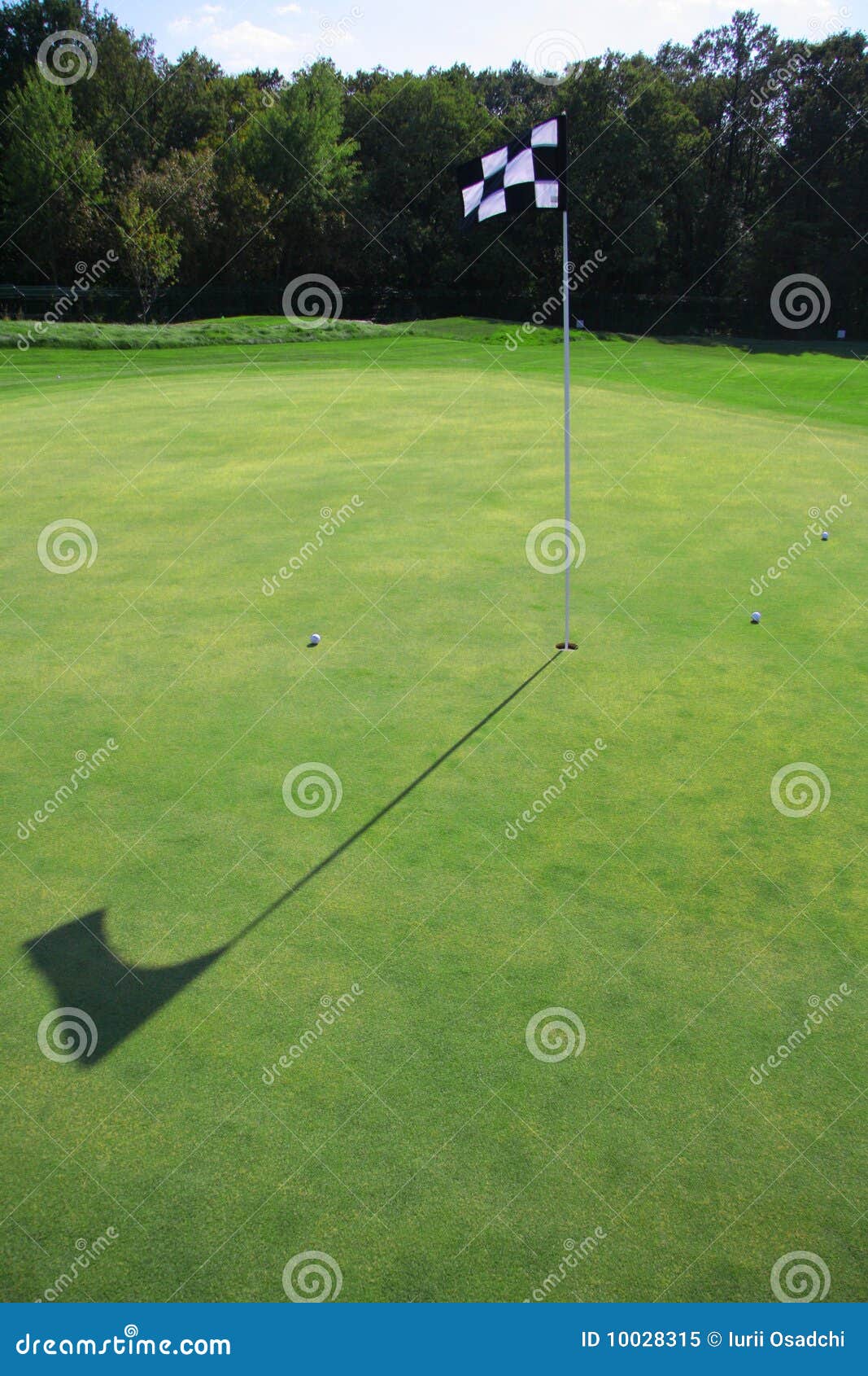 Golf field stock image. Image of green, ball, clubs, putt - 10028315