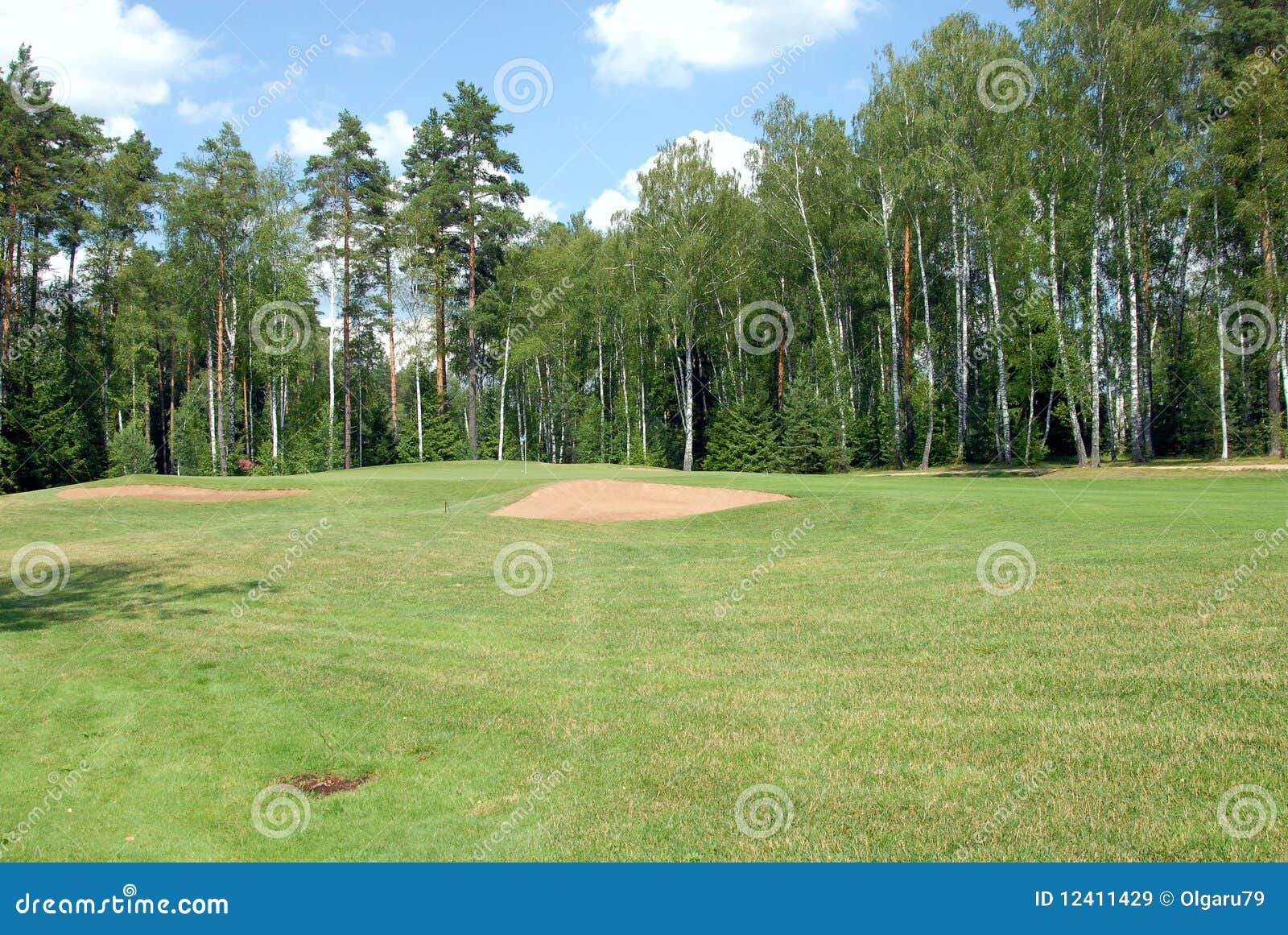GOLF FIELD stock image. Image of fields, grass, greenery - 12411429
