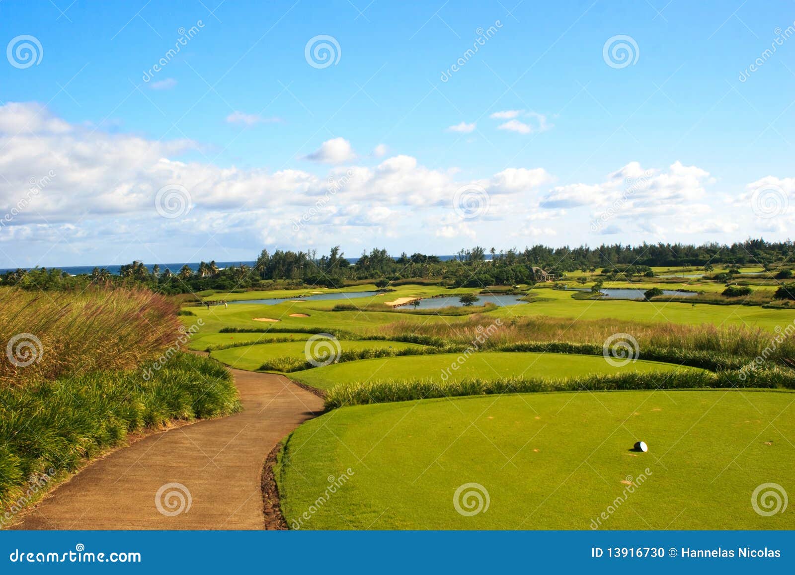 Golf Field stock photo. Image of golf, field, sport, landscape - 13916730