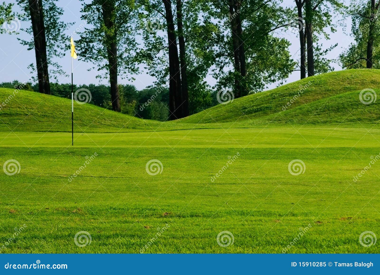 Golf field stock image. Image of people, line, perfection - 15910285