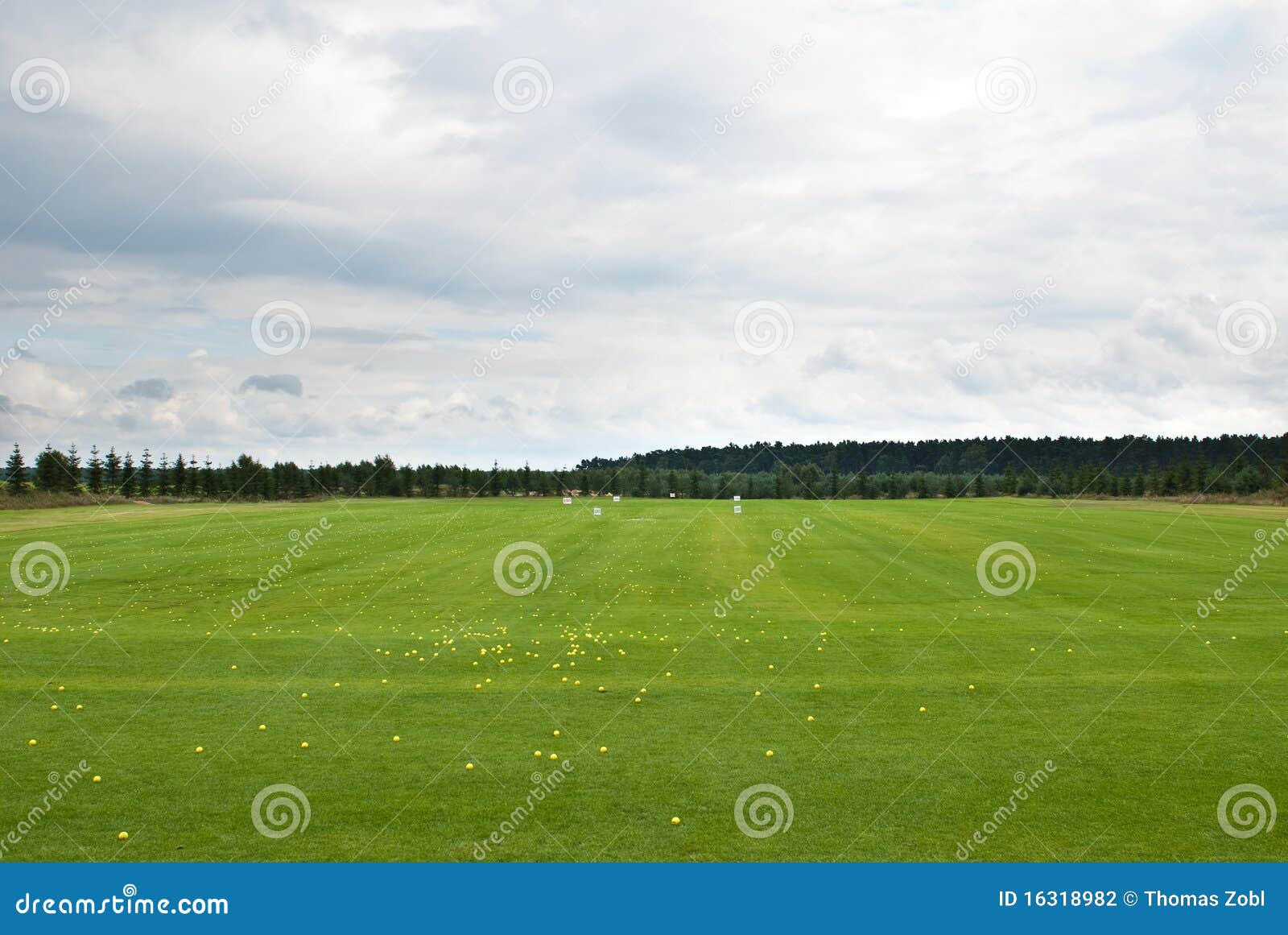 Golf field stock photo. Image of green, play, game, recreation - 16318982