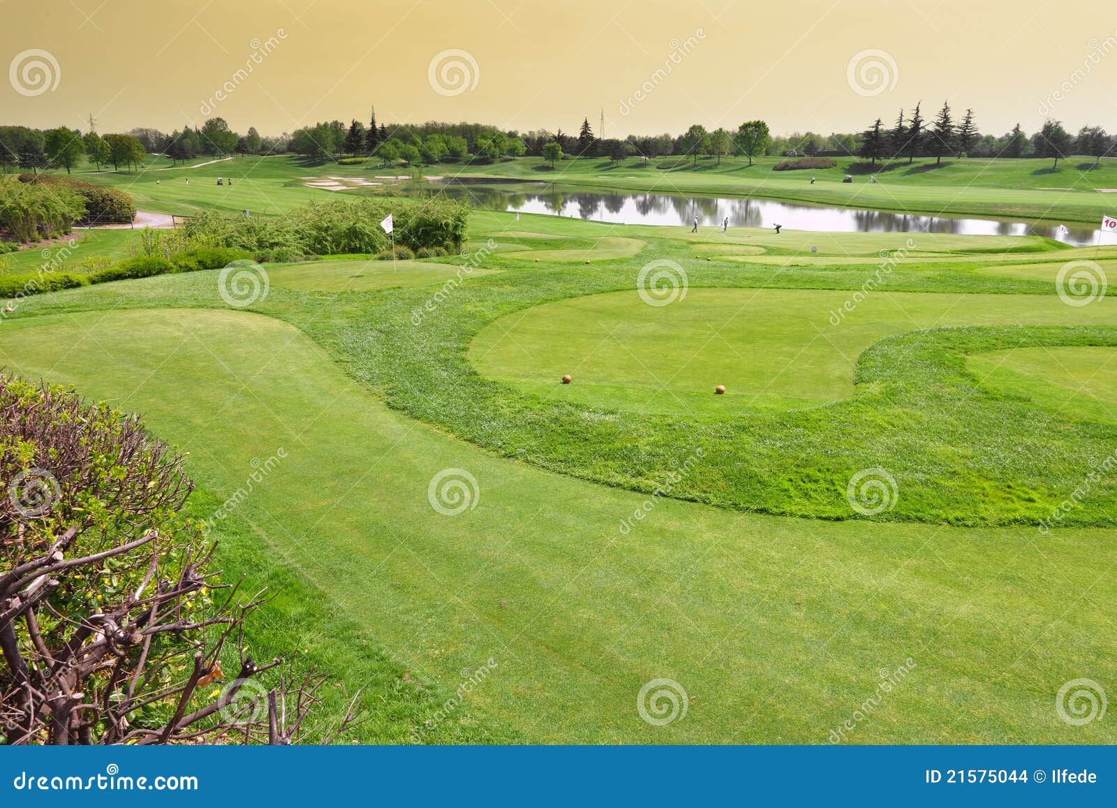 Golf field stock photo. Image of nature, flag, club, golf - 21575044