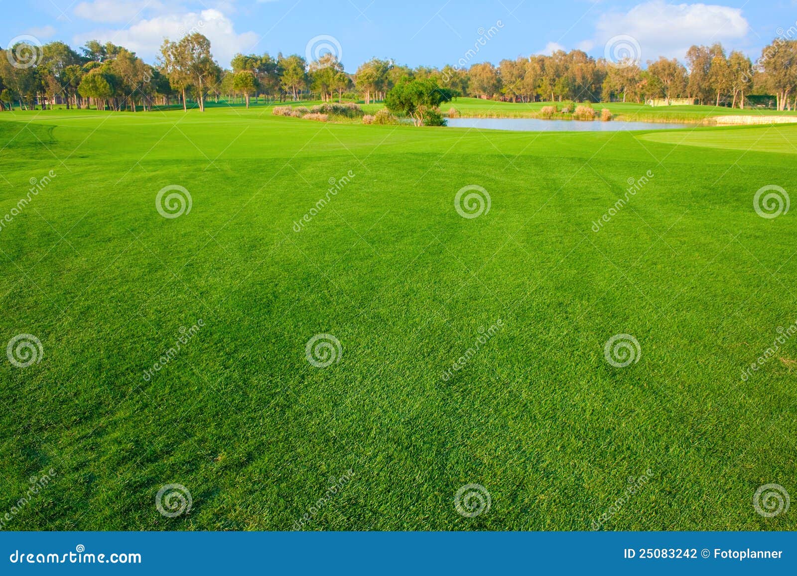 Golf field stock photo. Image of holiday, lifestyle, golf - 25083242