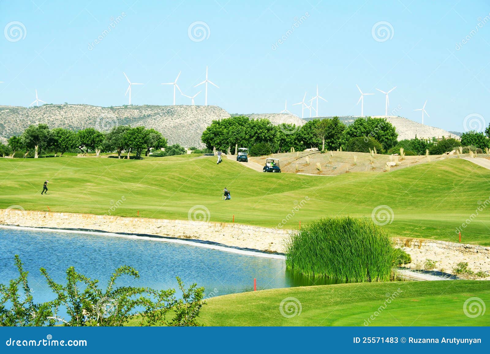 Golf field stock image. Image of lawn, freshness, golf - 25571483