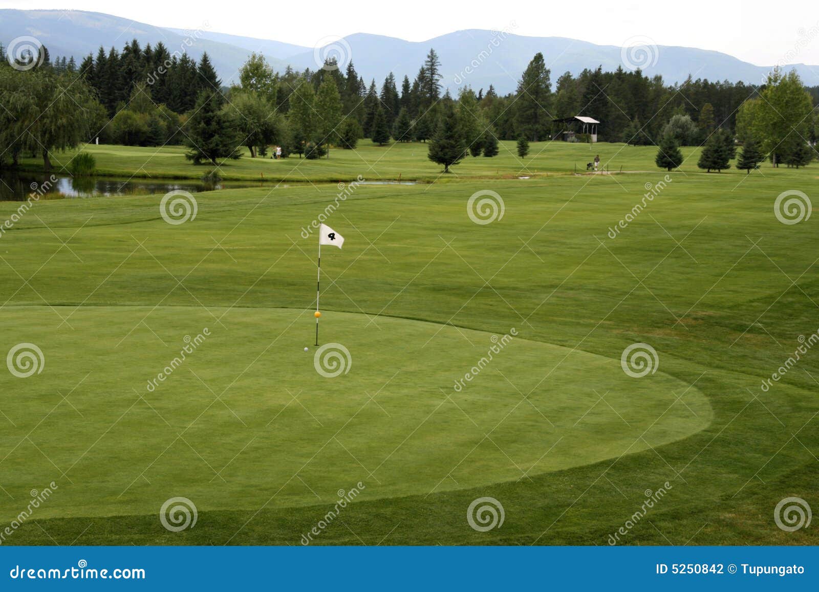 Golf field stock photo. Image of alberta, putt, venue - 5250842