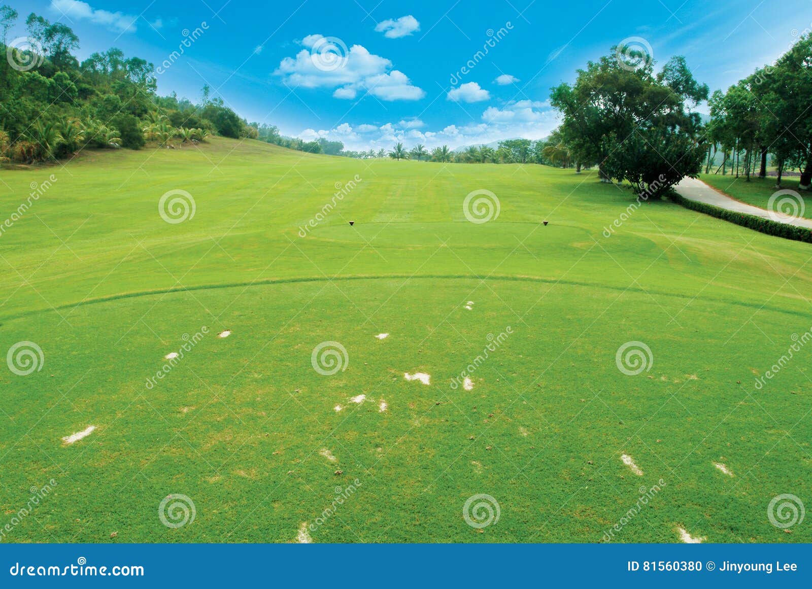 Golf stock photo. Image of golf, tree, cloud, grass, field - 81560380
