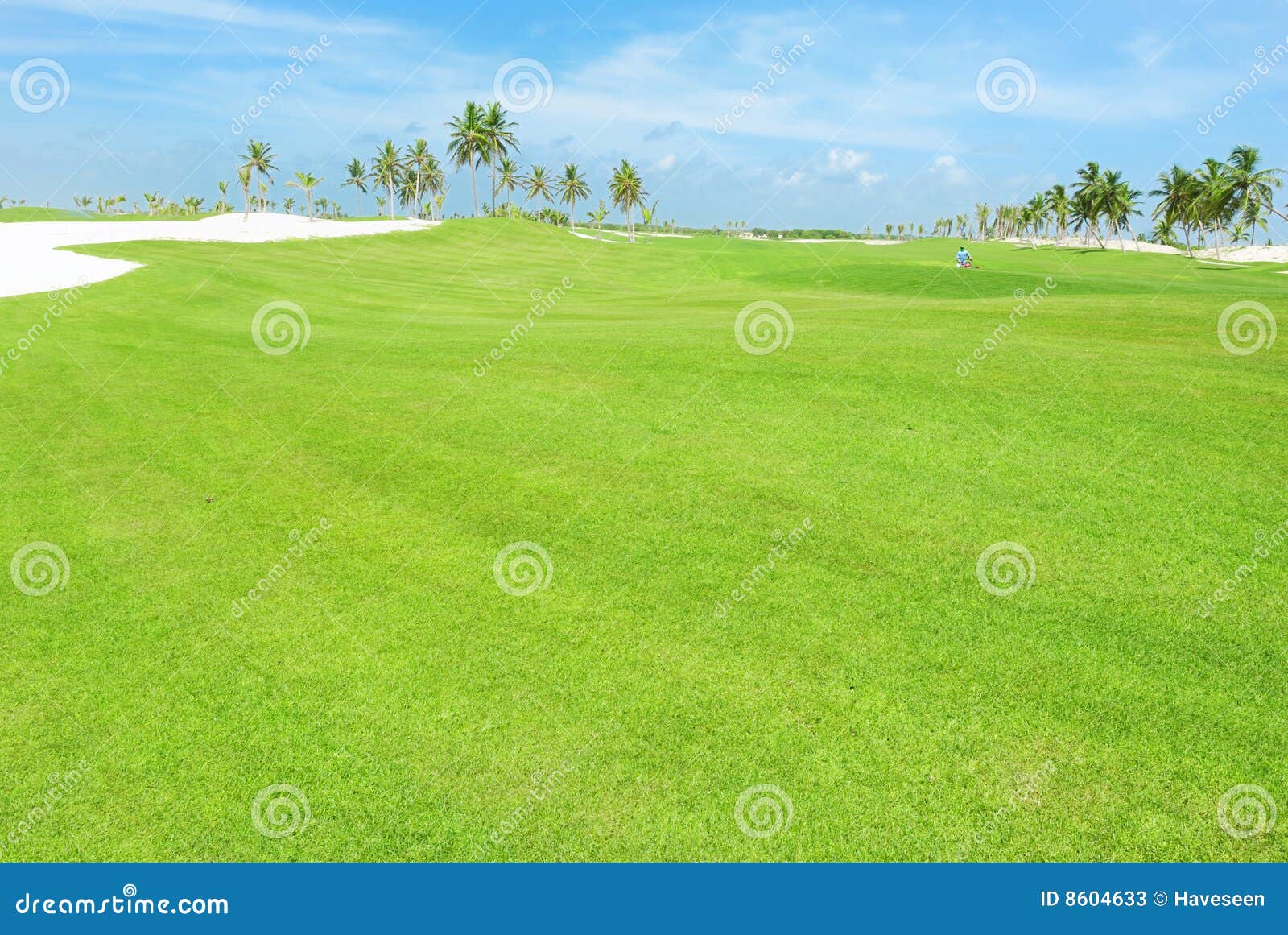 Golf field stock image. Image of field, nature, green - 8604633