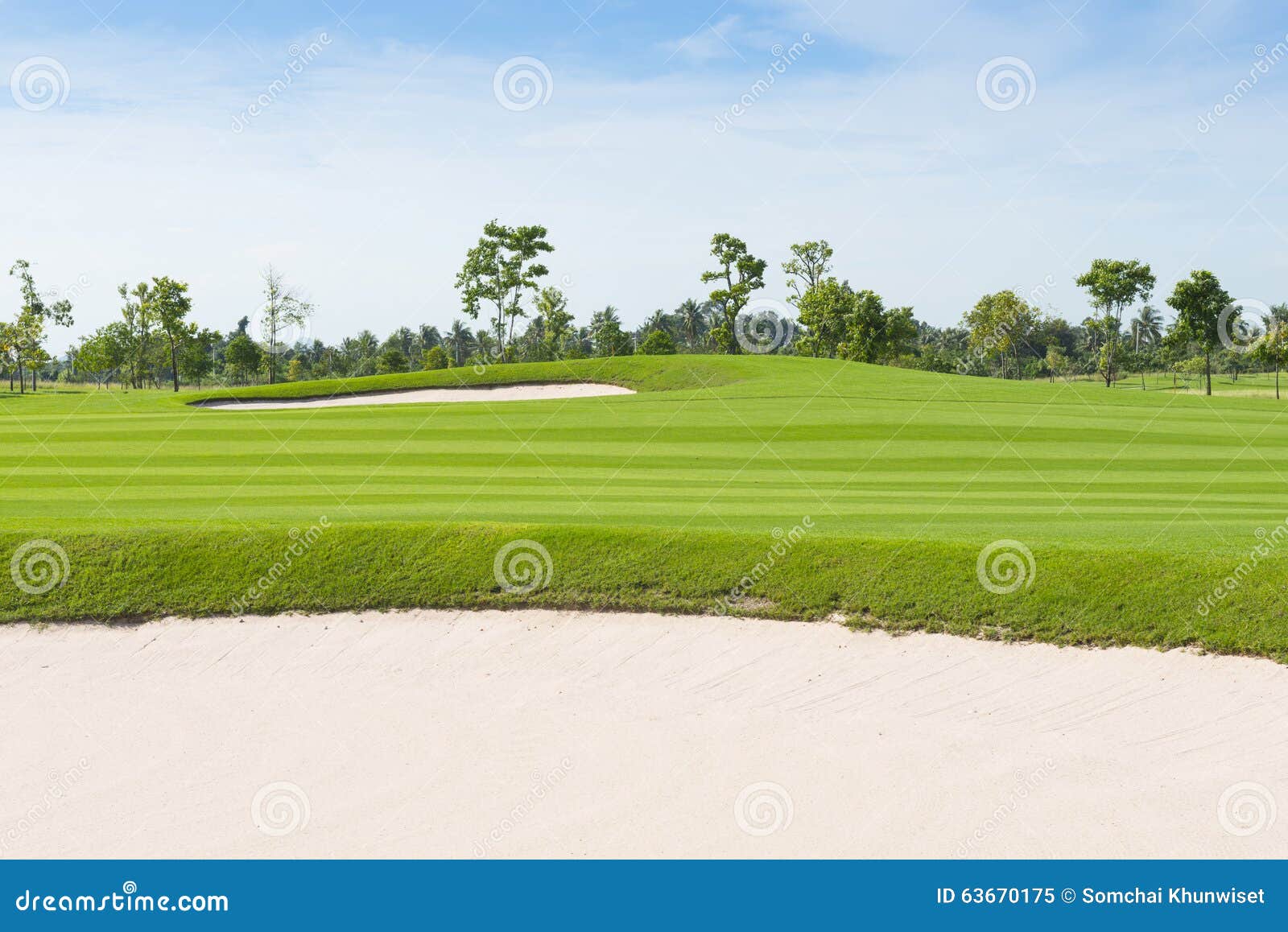 Golf field stock image. Image of area, ball, outdoors - 63670175