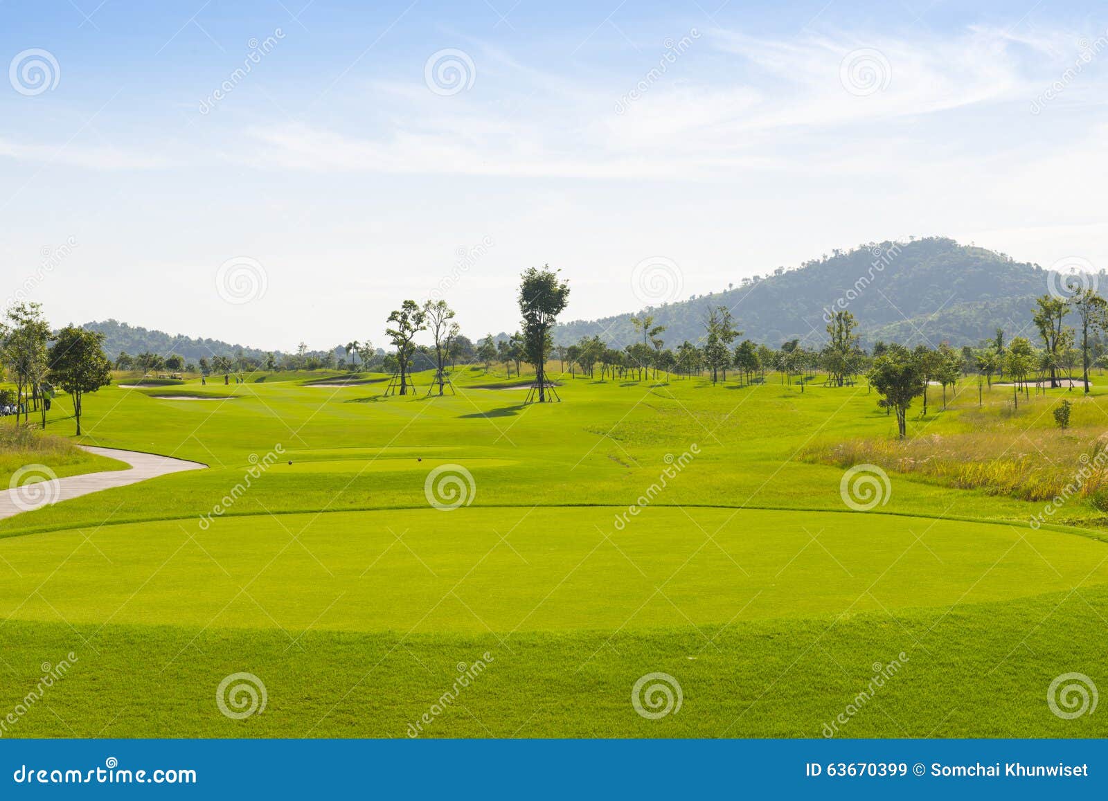 Golf field stock image. Image of lawn, foreground, fairway - 63670399