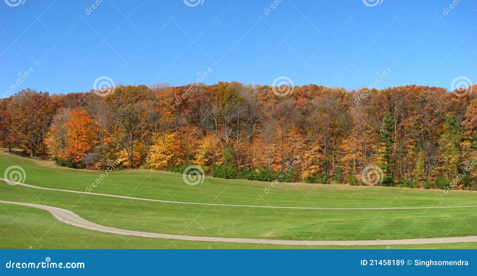 Golf Field and Fall Season in Wisconsin Stock Image - Image of branches ...