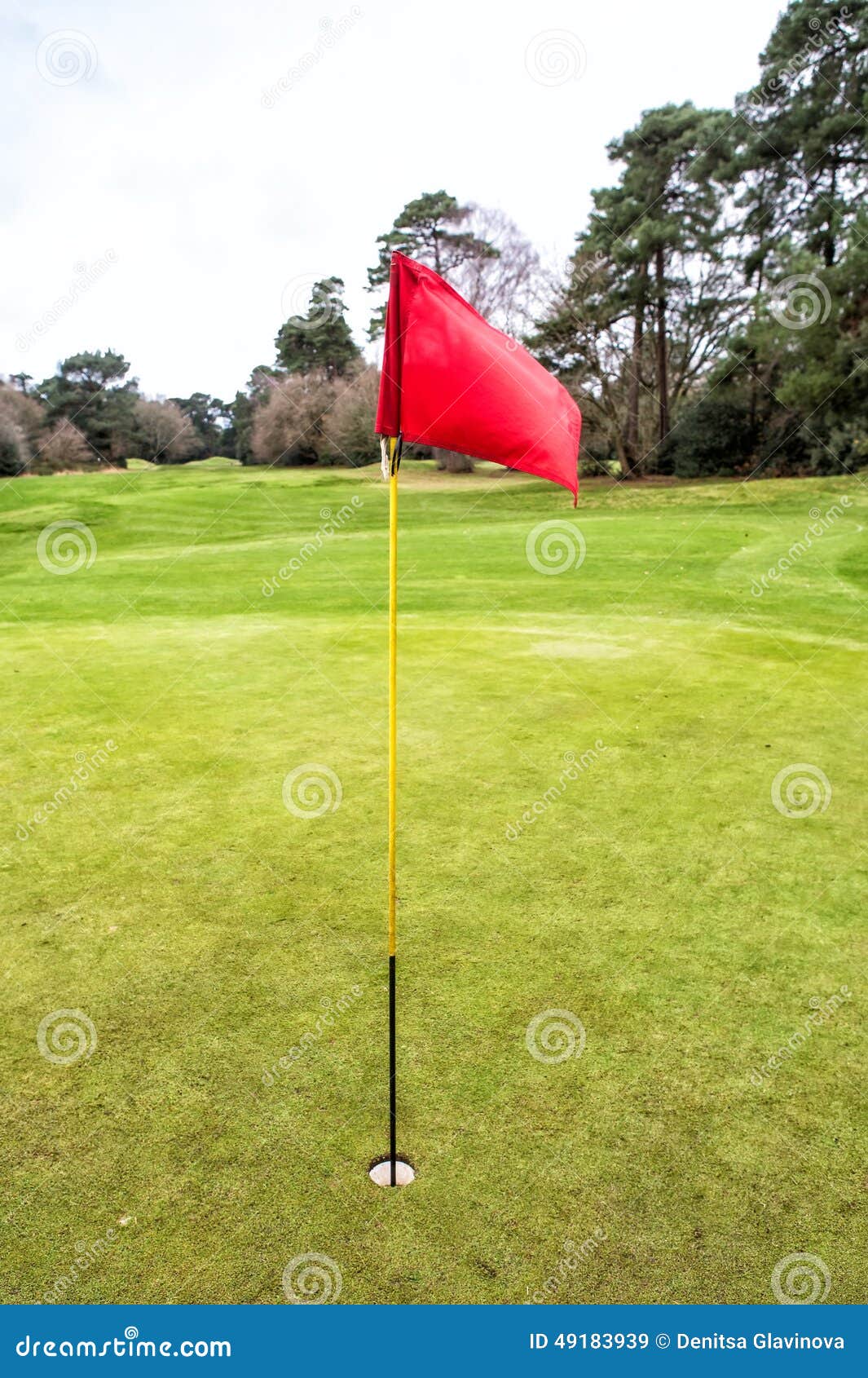 Golf field with red flag stock image. Image of club, grass - 49183939