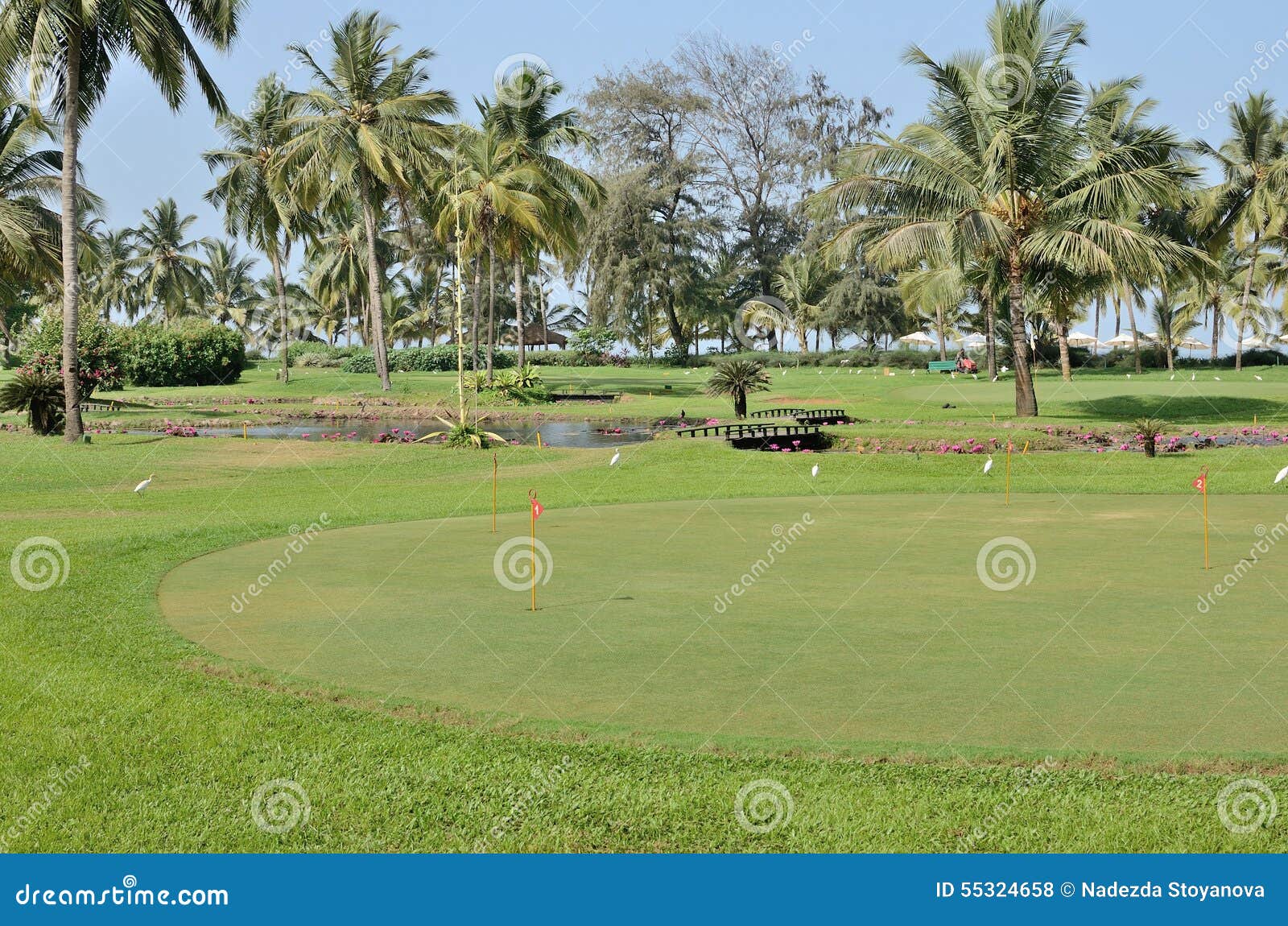 Golf field stock photo. Image of game, field, journey - 55324658