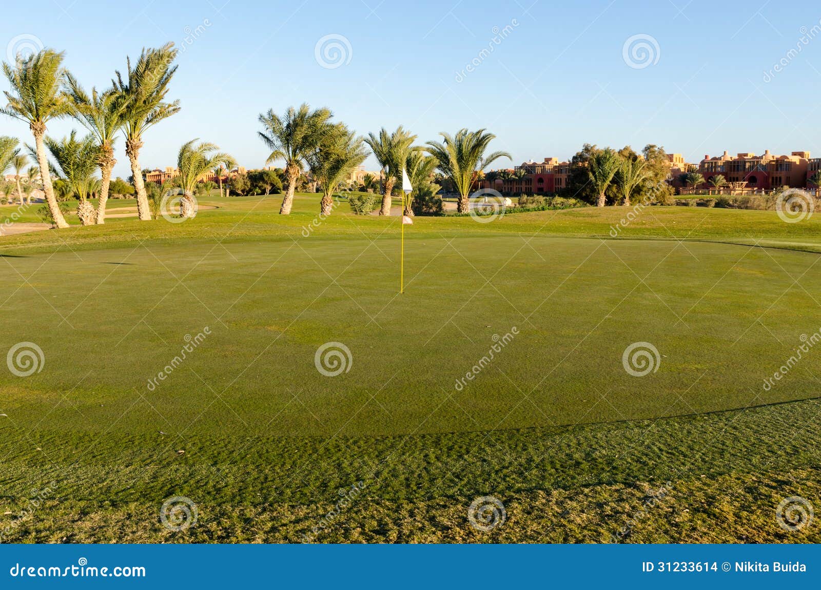Golf field stock photo. Image of beautiful, outdoors - 31233614