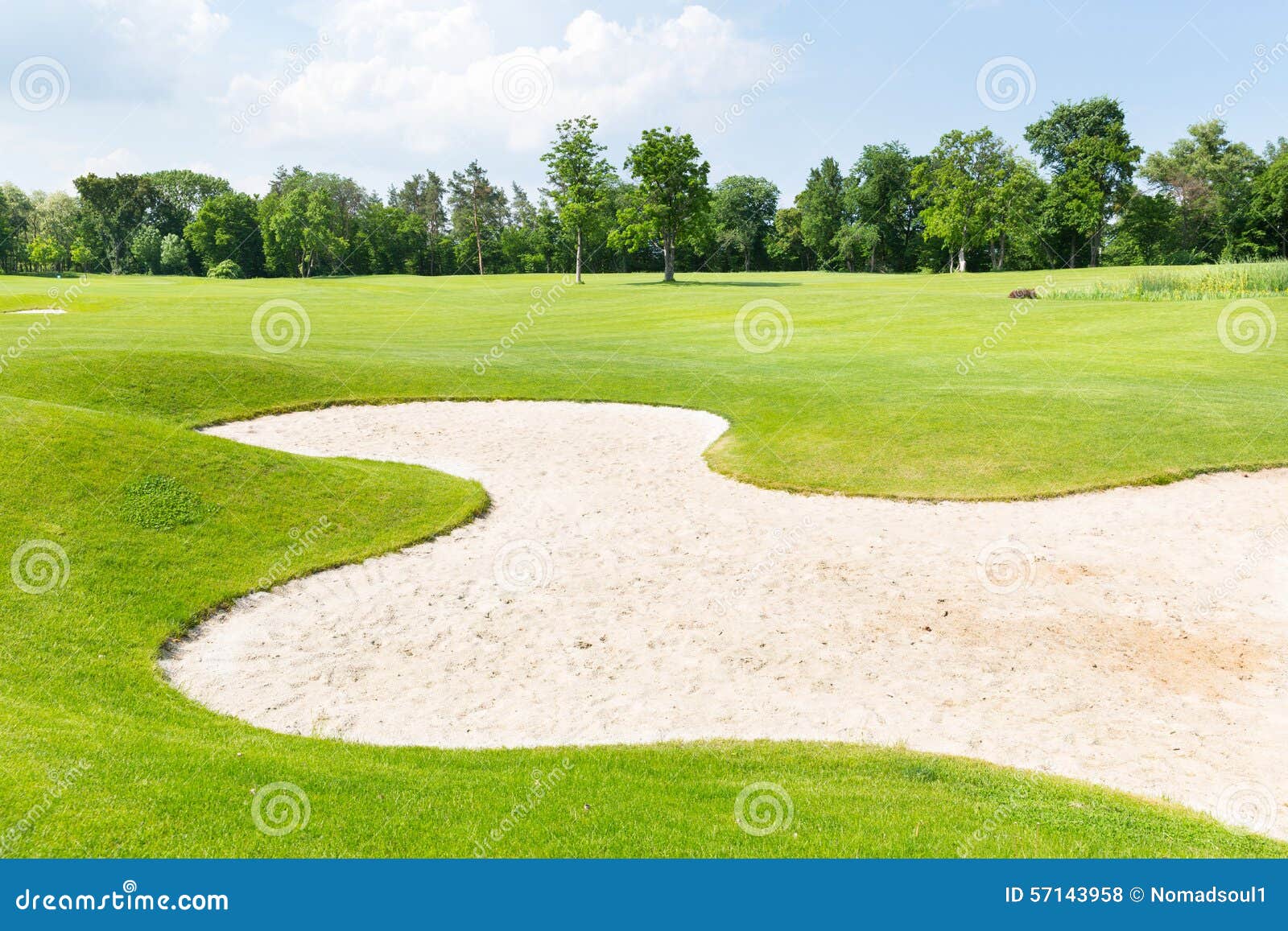 Golf fields stock photo. Image of outdoor, green, field - 57143958