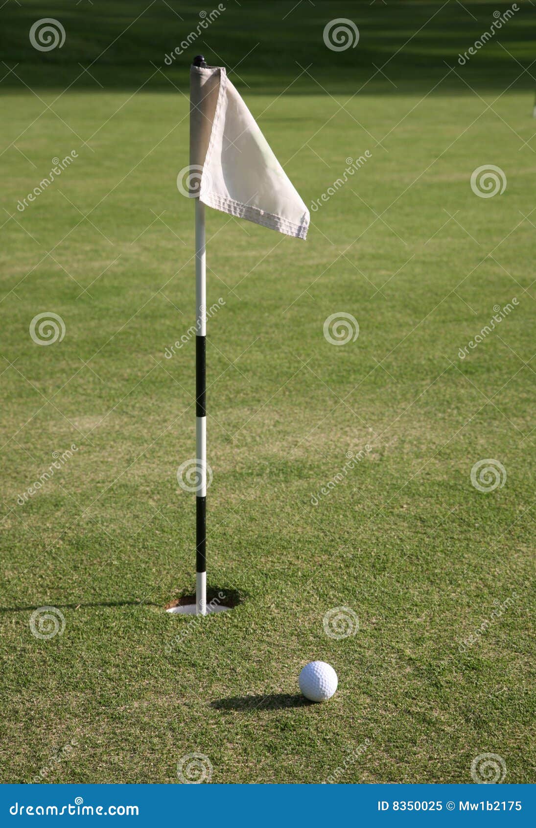 Golf flag and golf hole stock image. Image of green, hole - 8350025